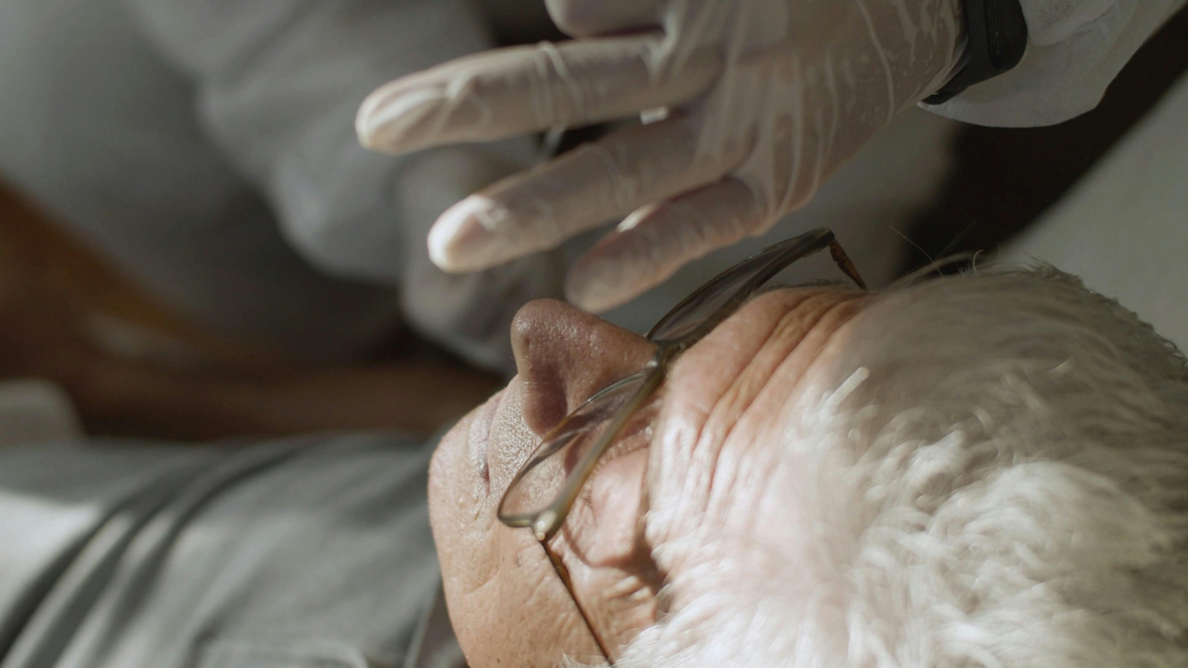 Procedure New Videos, Download The BEST Free 4k Stock Video Footage ...