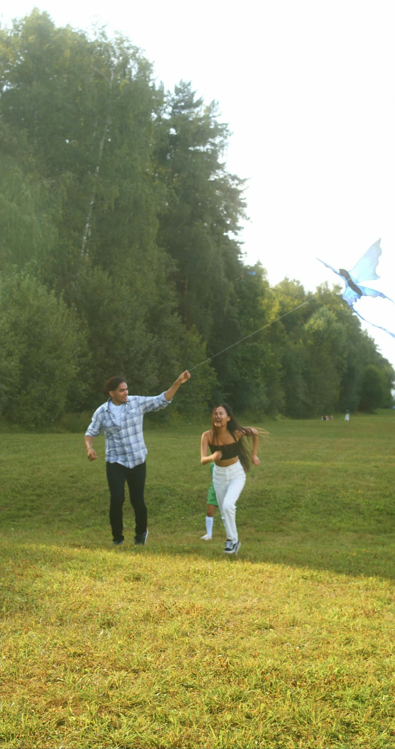 Kite Flying Videos, Download The BEST Free 4k Stock Video Footage ...