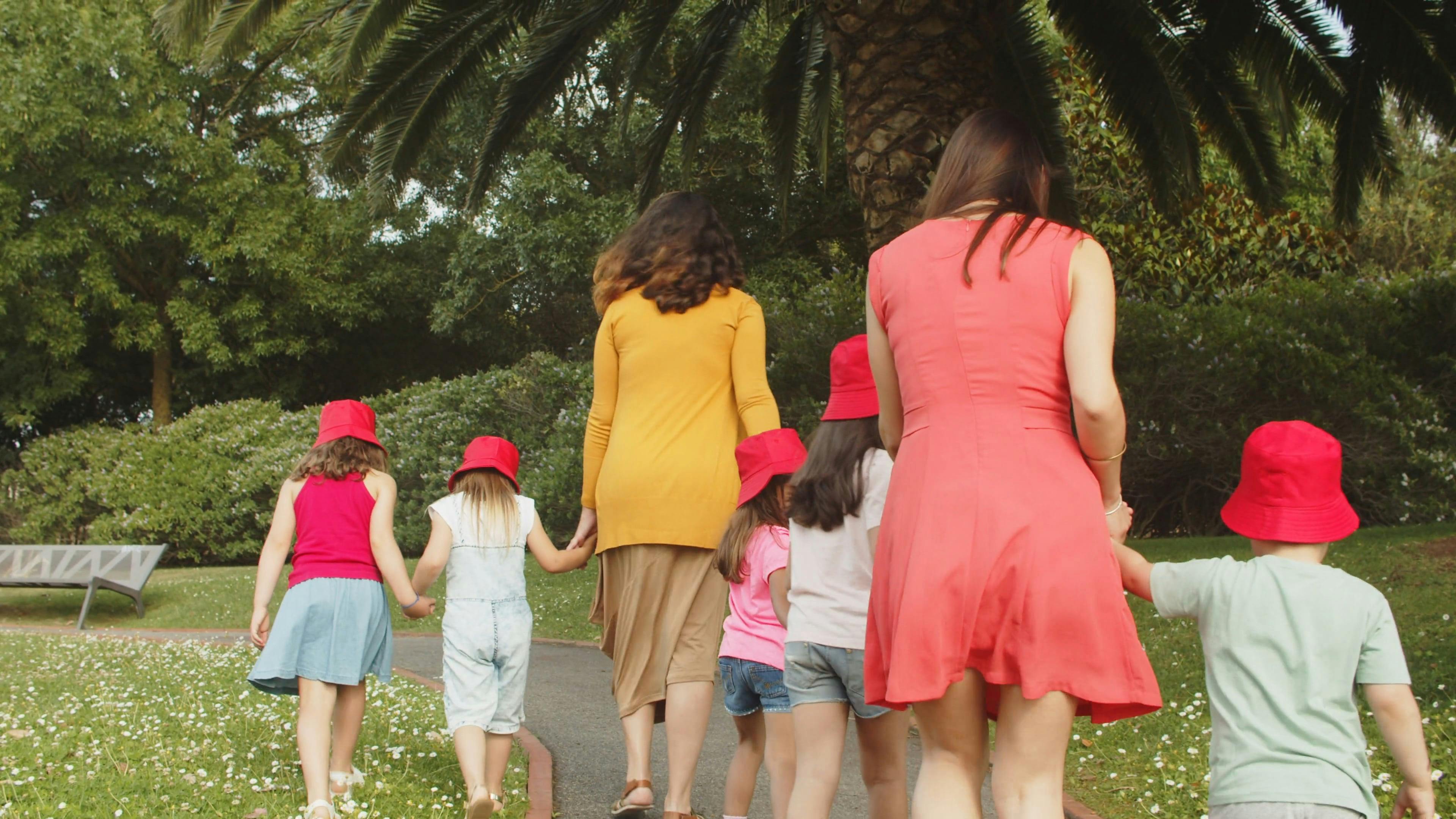 Whole Trees Videos, Download The BEST Free 4k Stock Video Footage & Whole Trees HD Video Clips