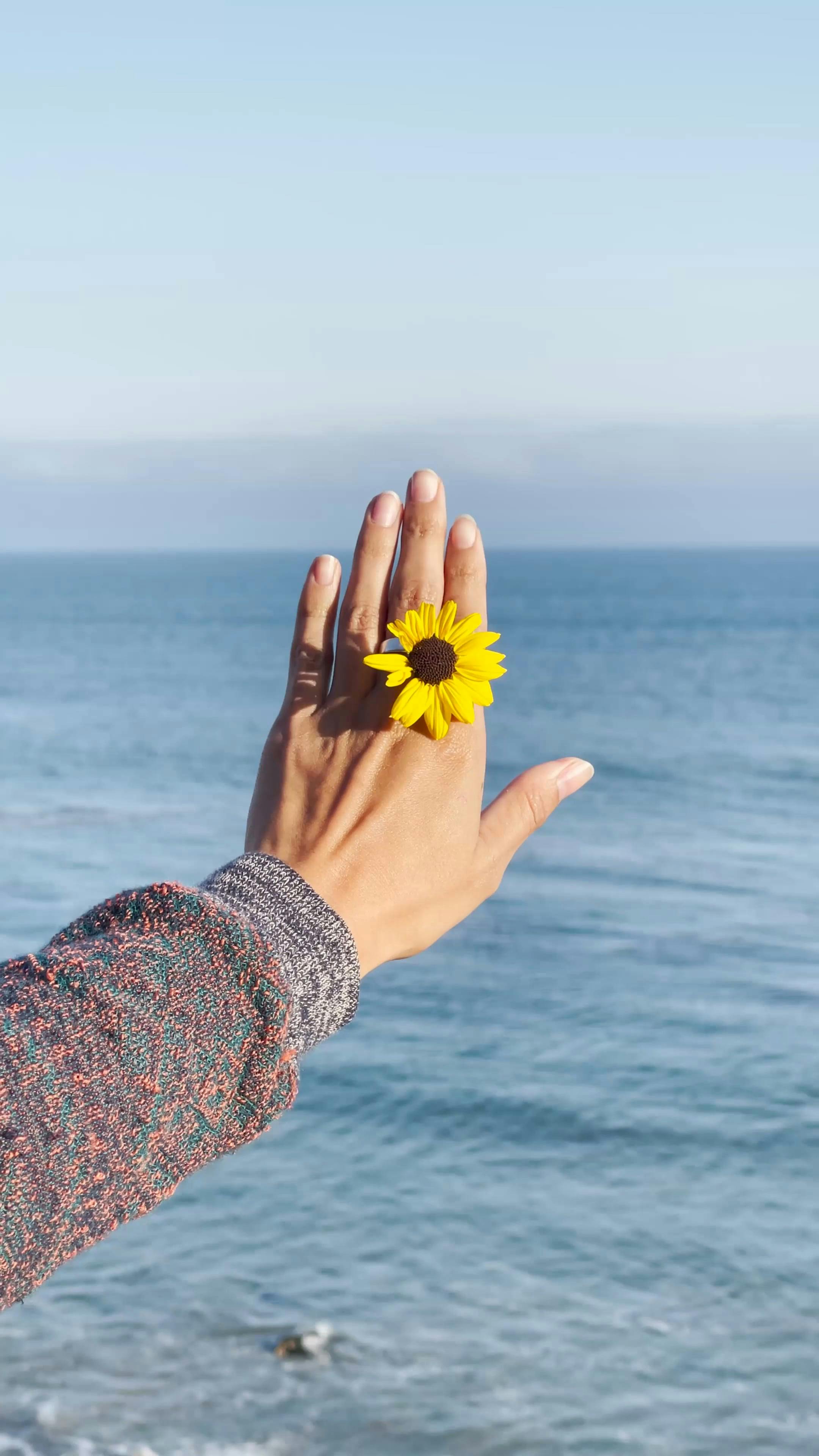 Wave Hand Videos, Download The BEST Free 4k Stock Video Footage & Wave ...