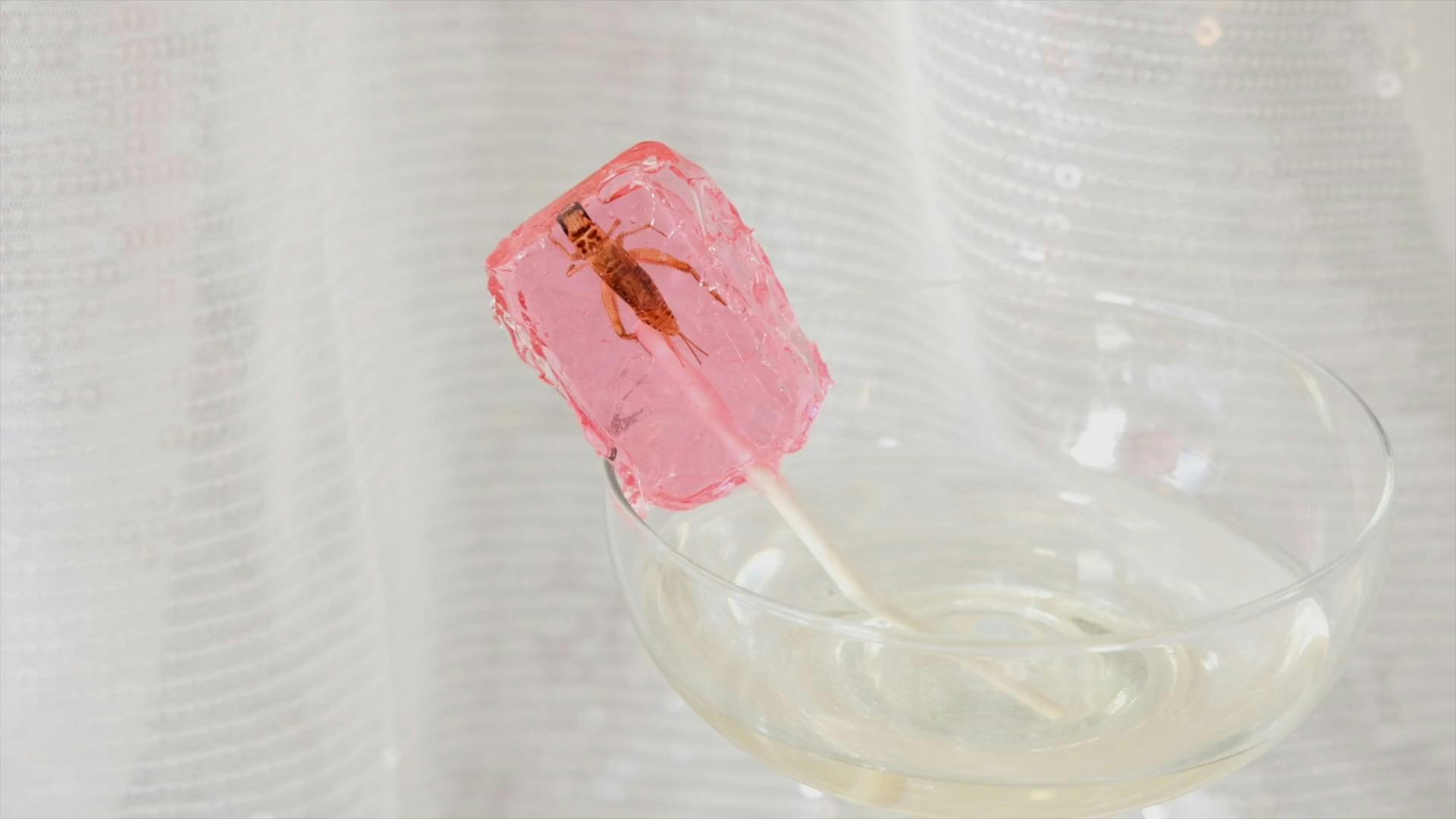 Glass Encasement Videos, Download The BEST Free 4k Stock Video Footage ...