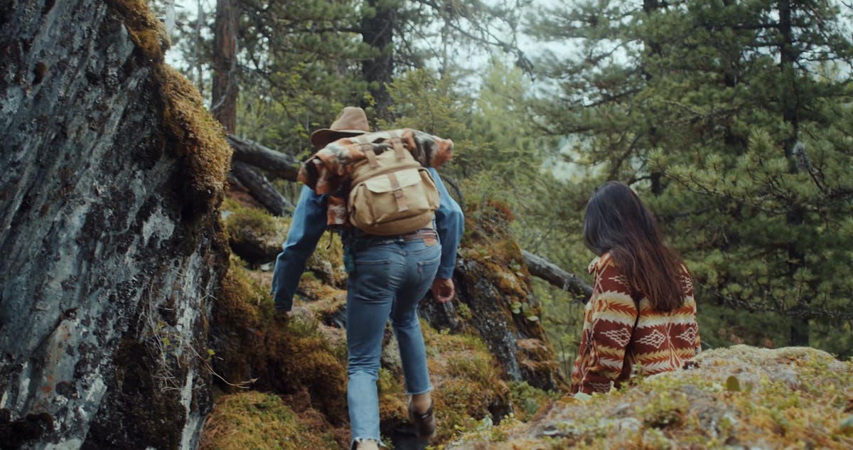 Wildlife Adventure Videos, Download The BEST Free 4k Stock Video ...