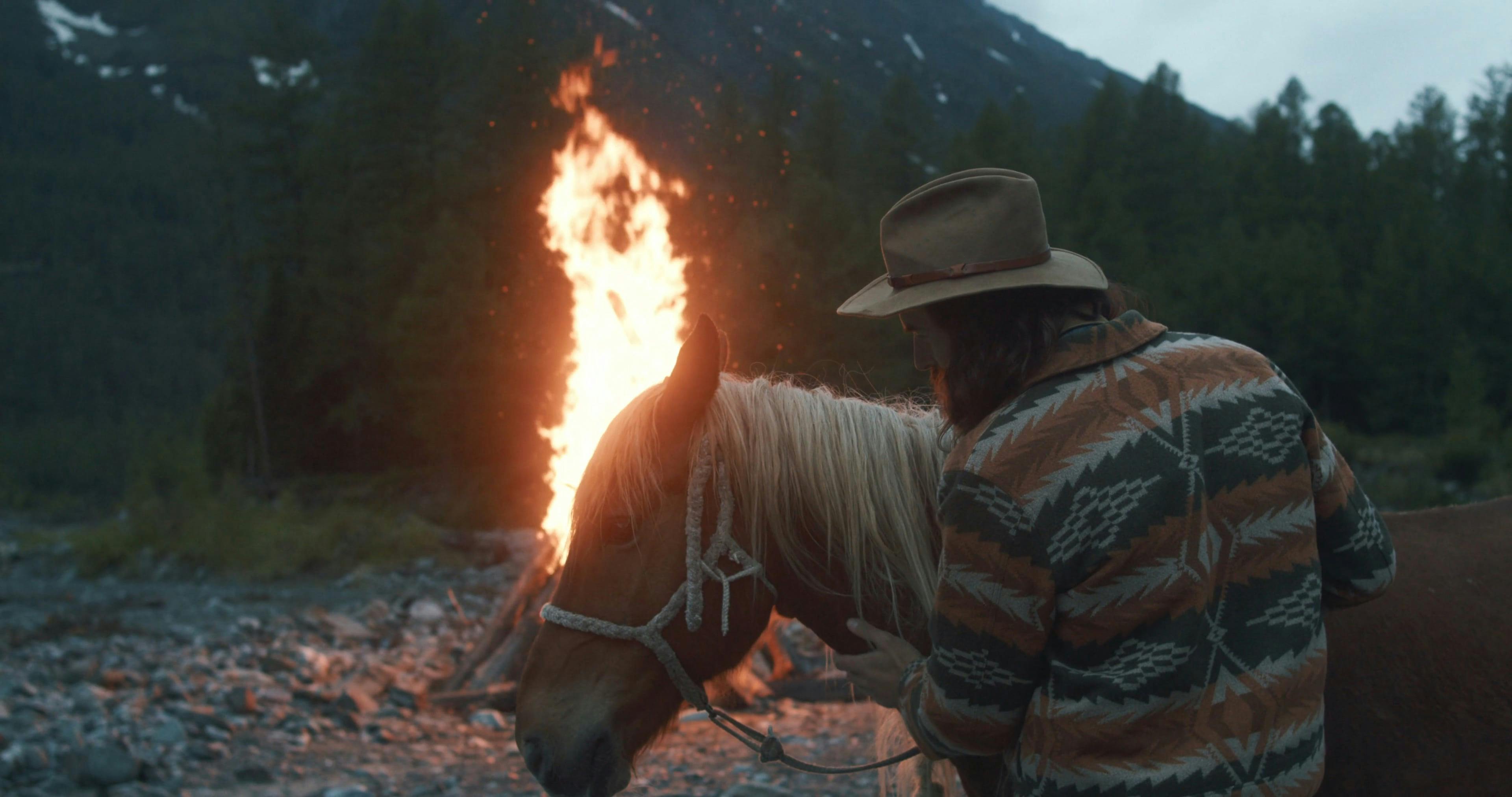 Horse Mating Videos, Download The BEST Free 4k Stock Video Footage ...