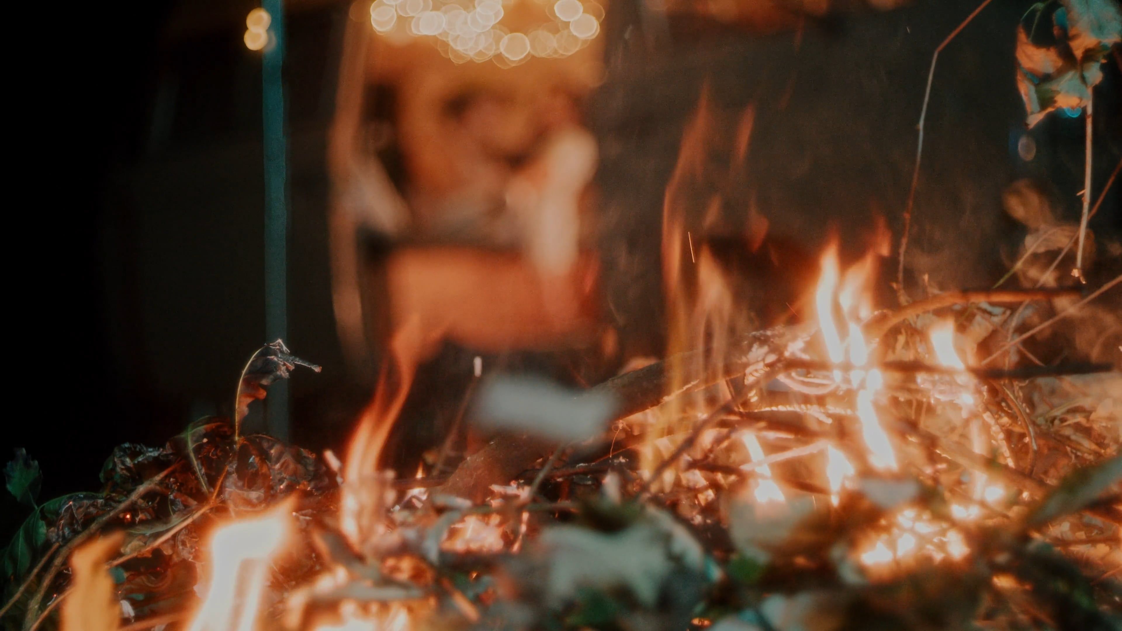 Flames from Burning Twigs Free Stock Video Footage, Royalty-Free 4K ...