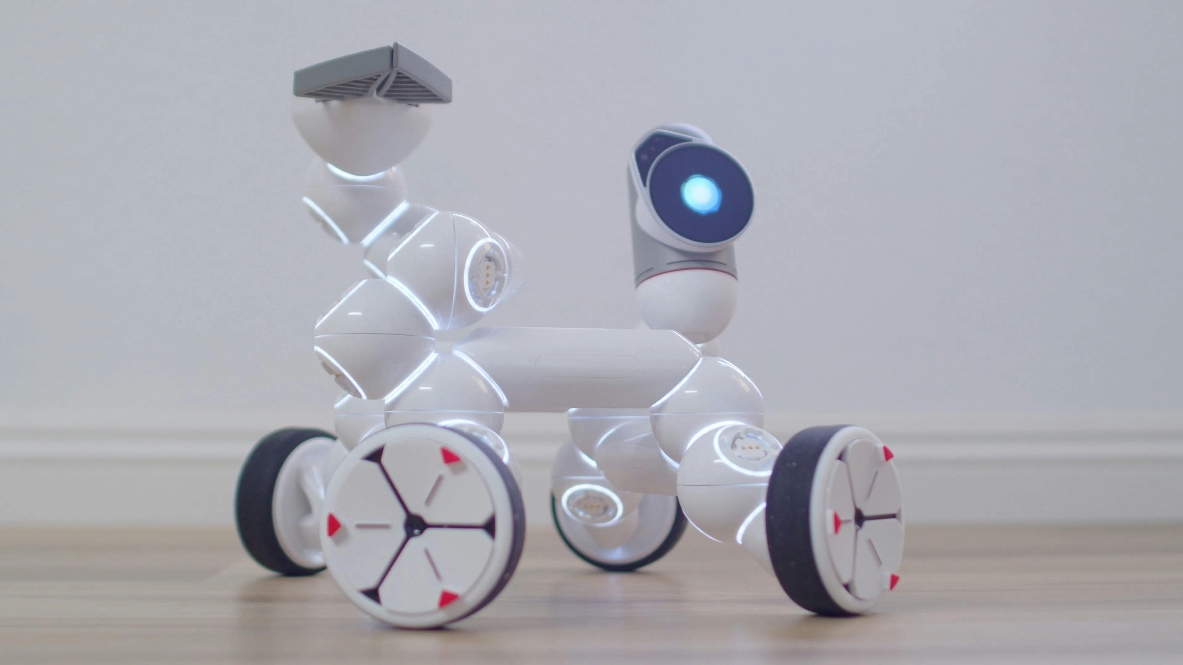 Computer Vision Videos, Download The BEST Free 4k Stock Video Footage ...