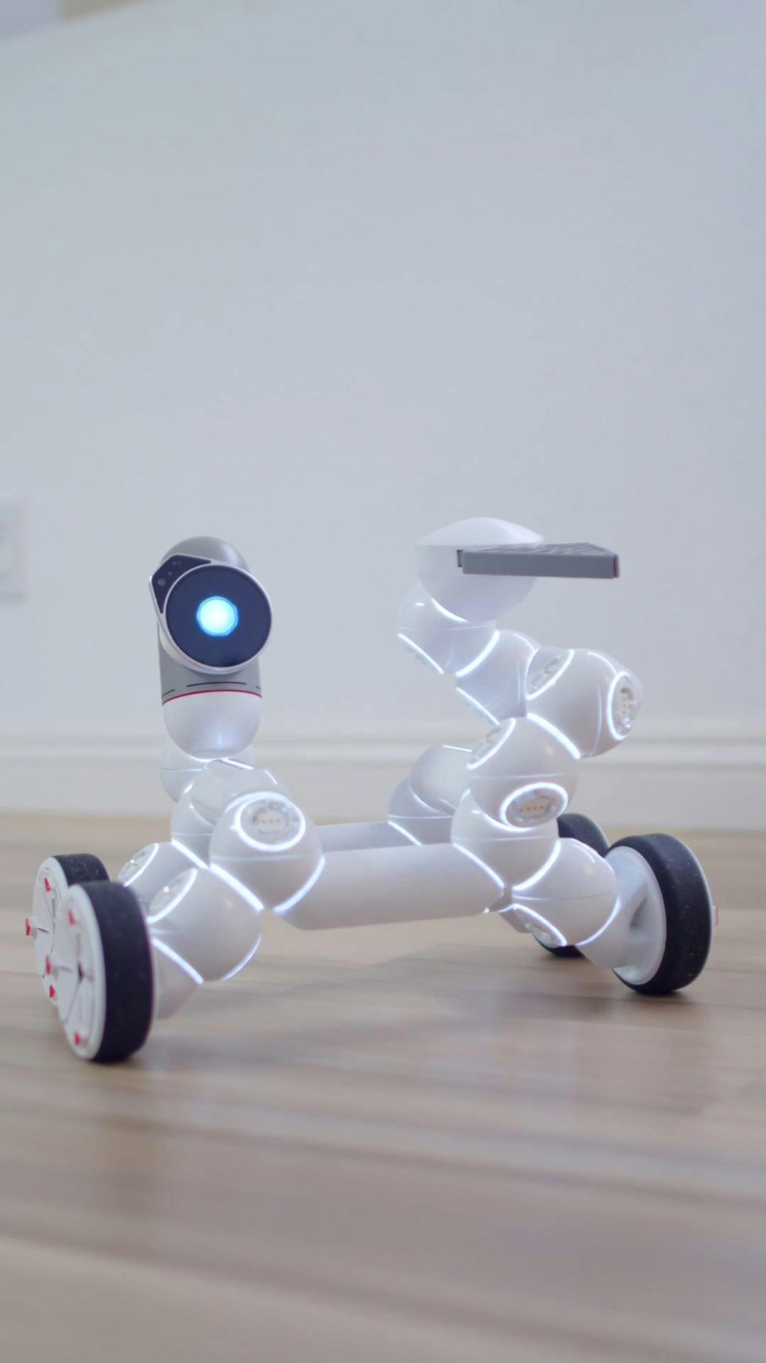 Vídeos de stock gratuitos sobre automático, caminando, ciencia, clicbot ...