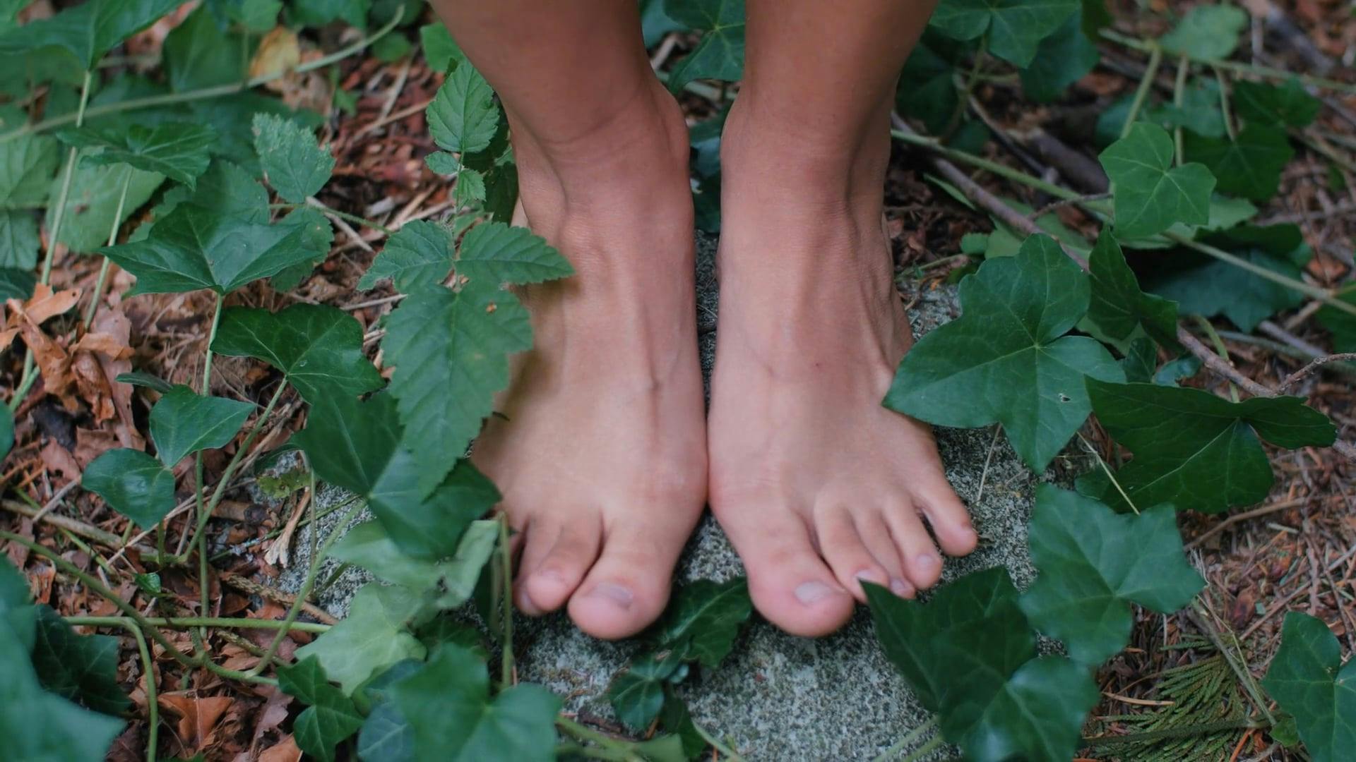 Grounding Videos Download The Best Free 4k Stock Video Footage