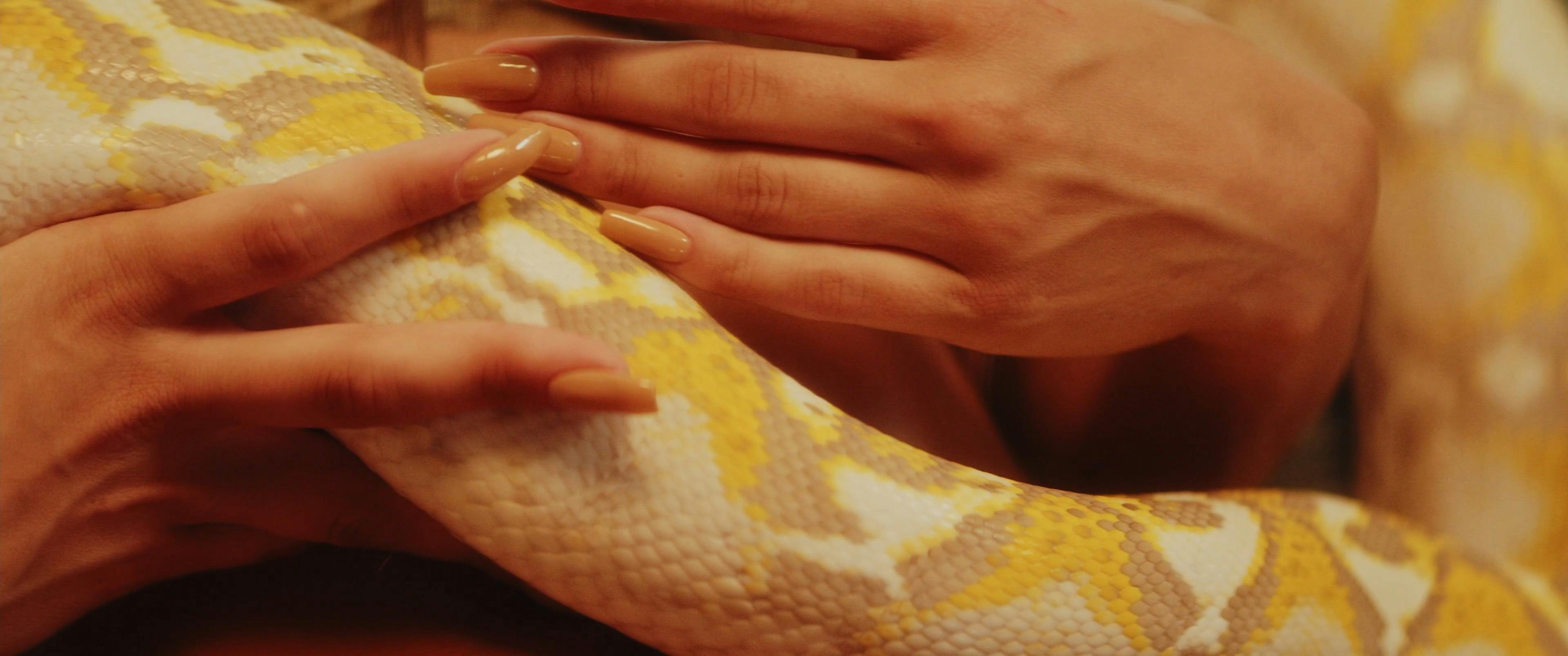 A Person Touching the Snake Free Stock Video Footage, Royalty-Free 4K ...