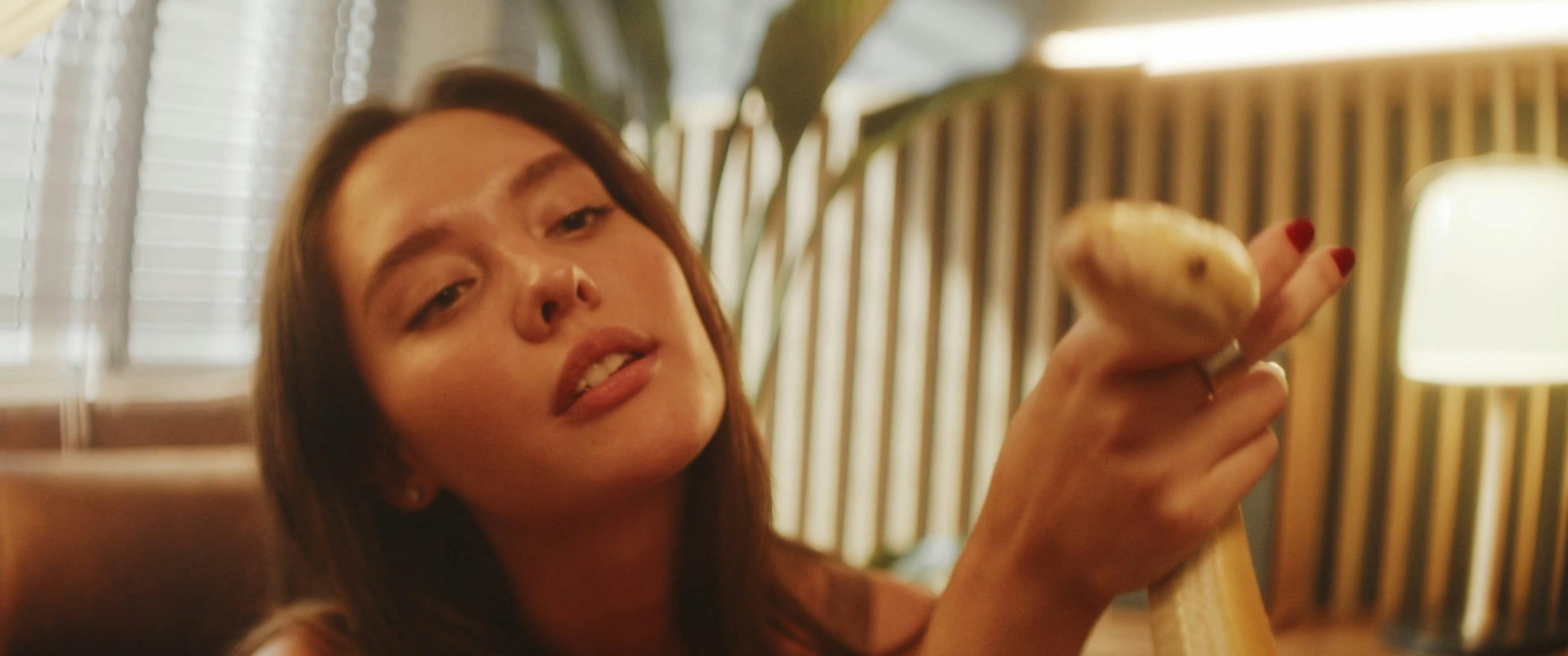 Lamplit Videos, Download The BEST Free 4k Stock Video Footage & Lamplit HD Video Clips