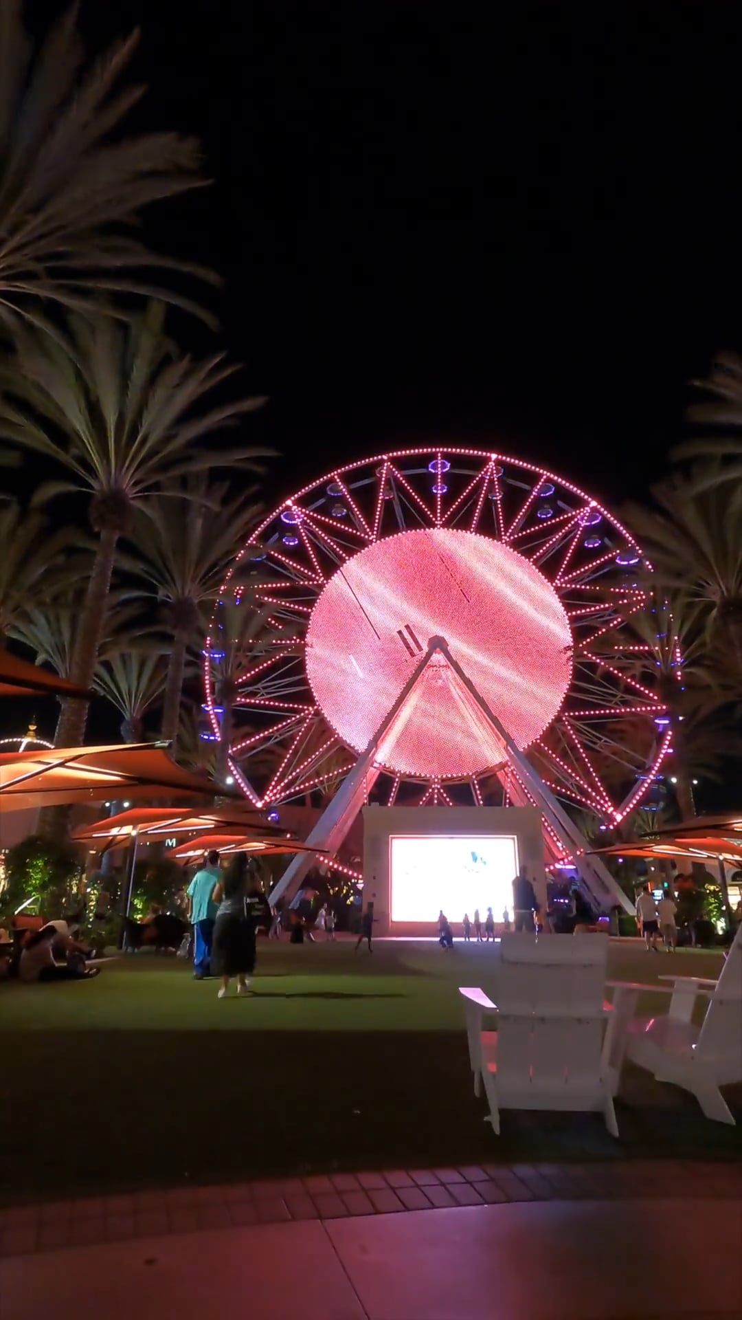 Neon Capture Videos, Download The BEST Free 4k Stock Video Footage ...