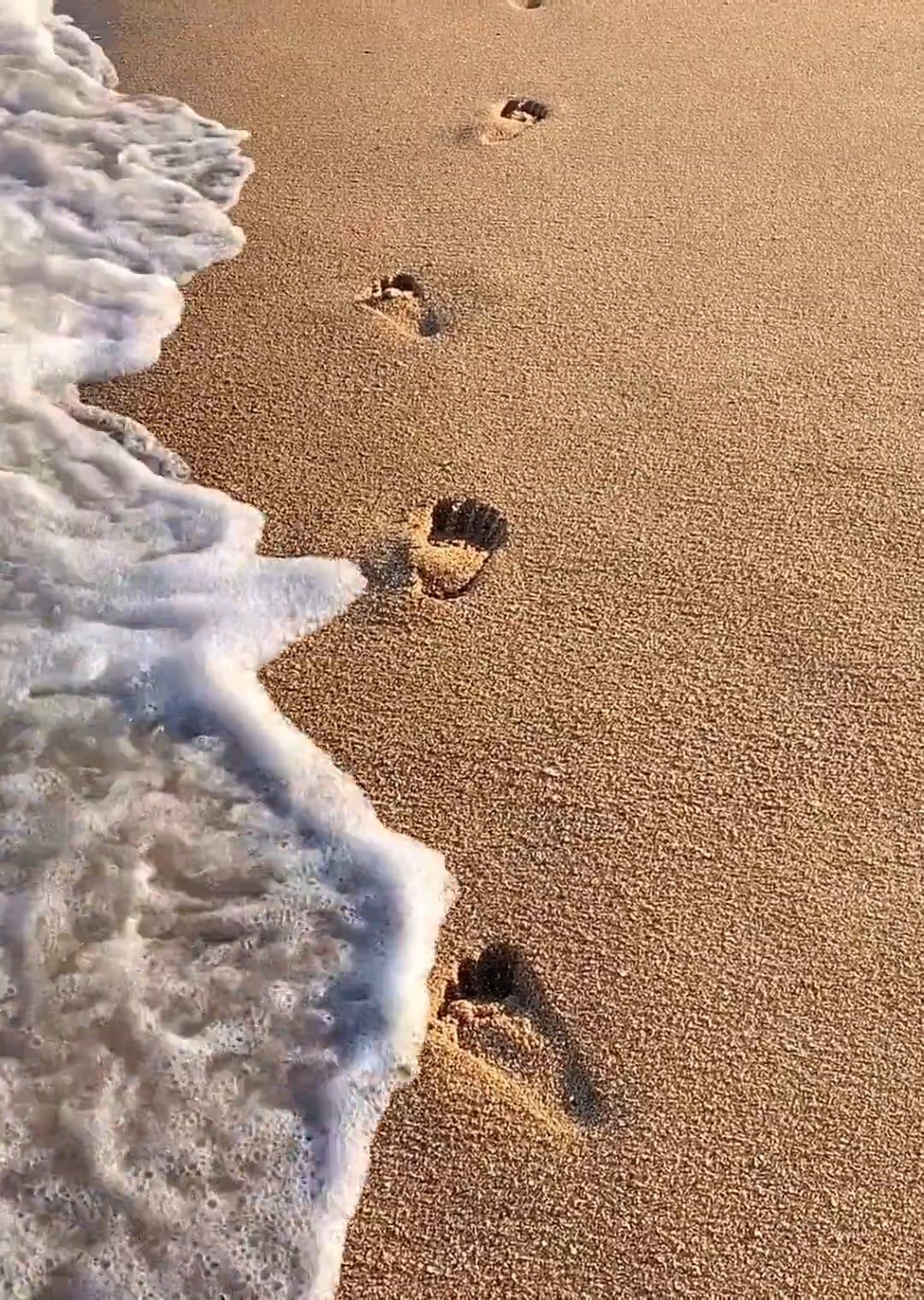 Sea Waves on Shore · Free Stock Video