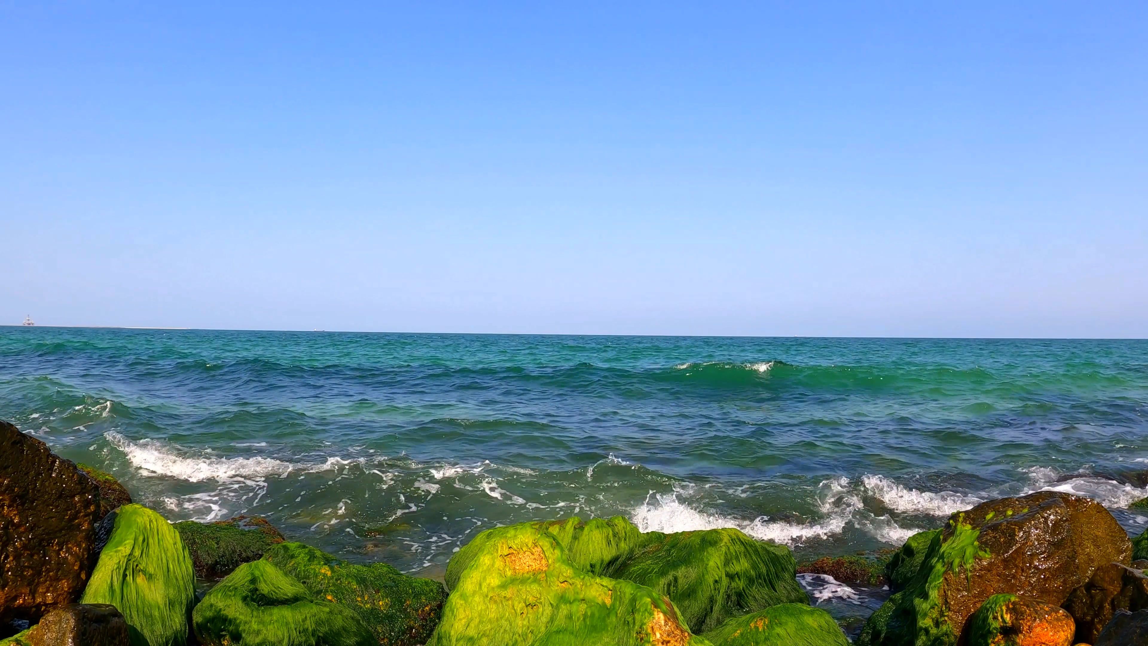 Strong Current of Waves Crashing to the Mossy Rocks Free Stock Video ...