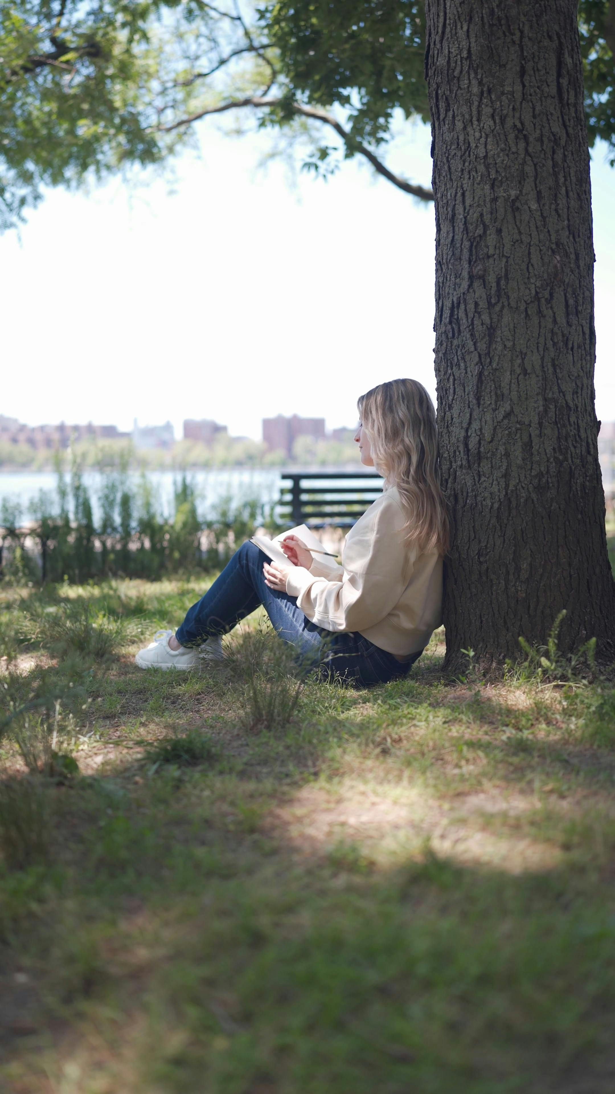 A Woman Sitting Beside the Tree Free Stock Video Footage, Royalty-Free ...