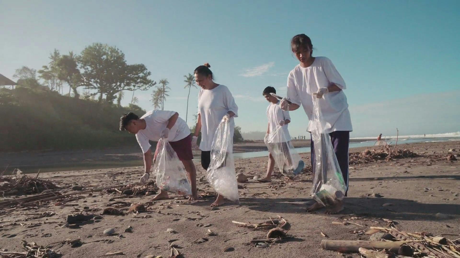 Volunteers Collecting Trash on the Beach · Free Stock Video
