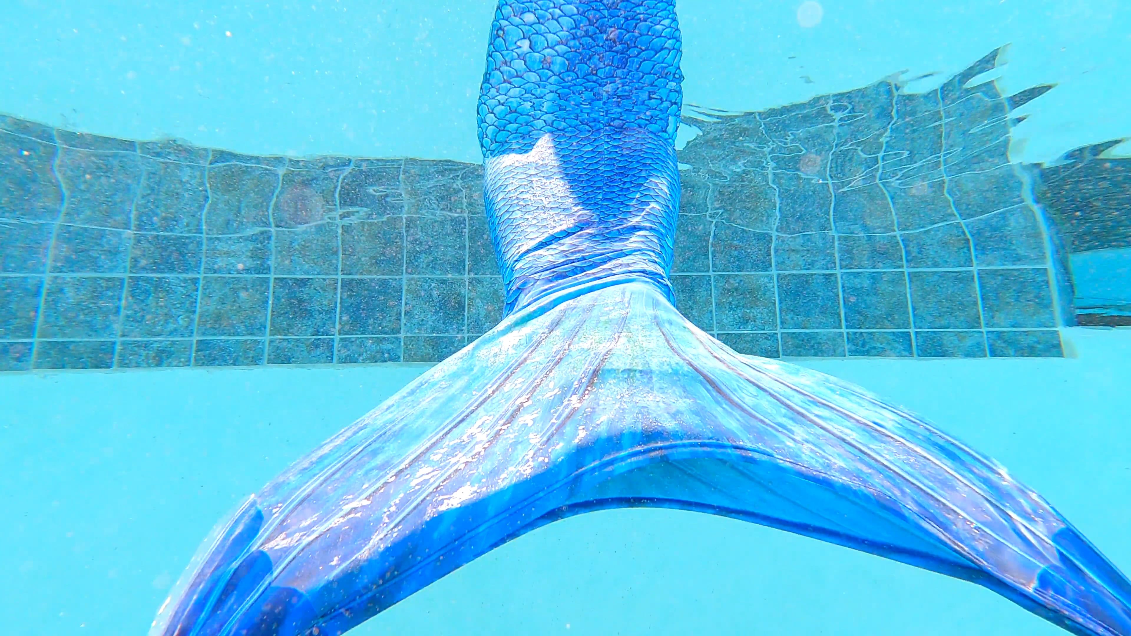 A Mermaid Tail Under the Swimming Pool Free Stock Video Footage ...
