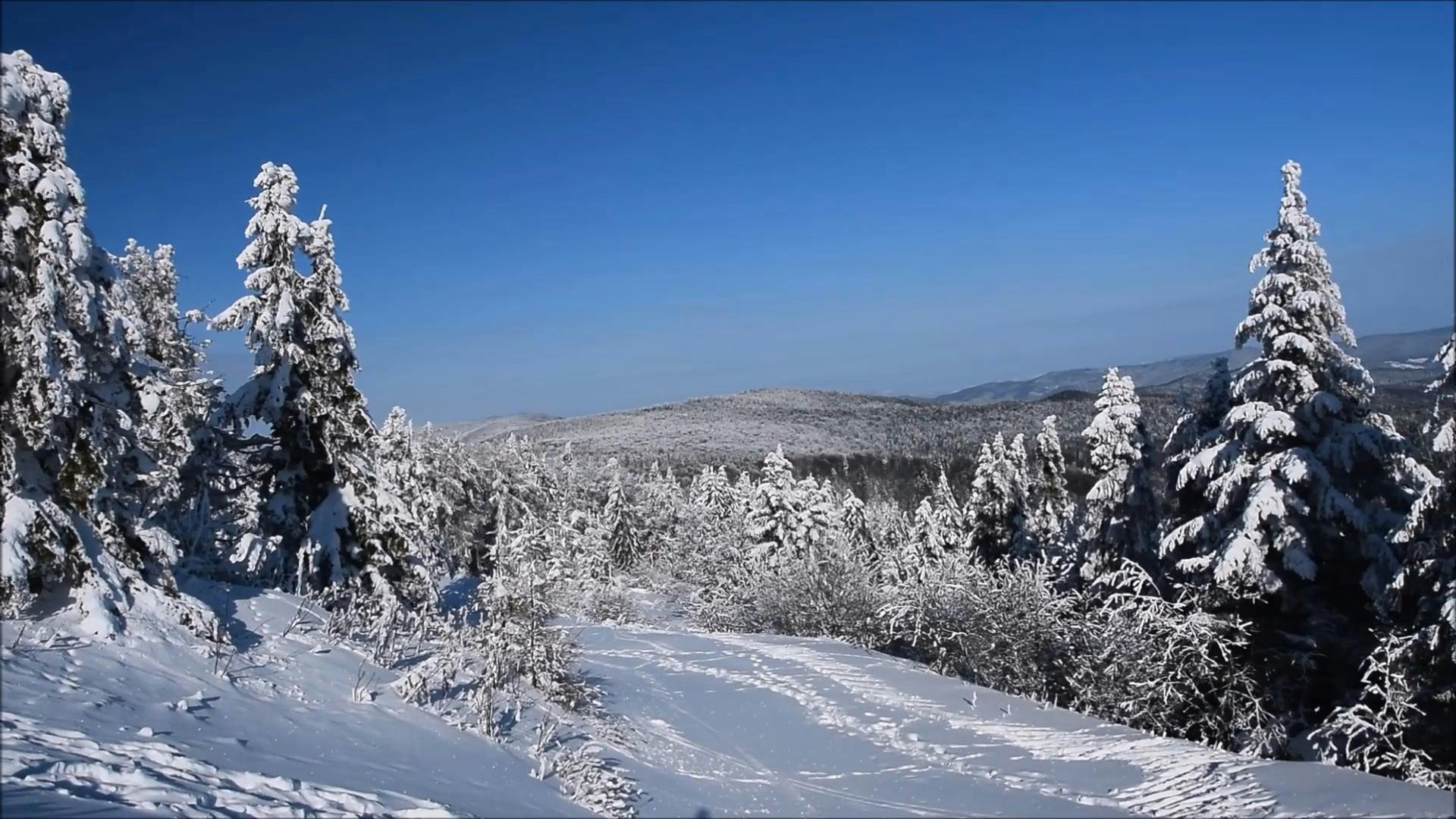 Panorama Videos, Download The BEST Free 4k Stock Video Footage ...