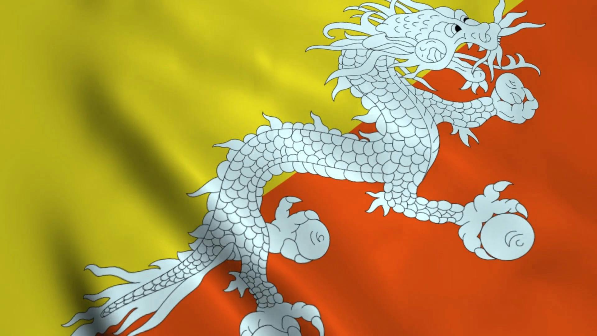 Dragon Animation Videos, Download The BEST Free 4k Stock Video Footage ...