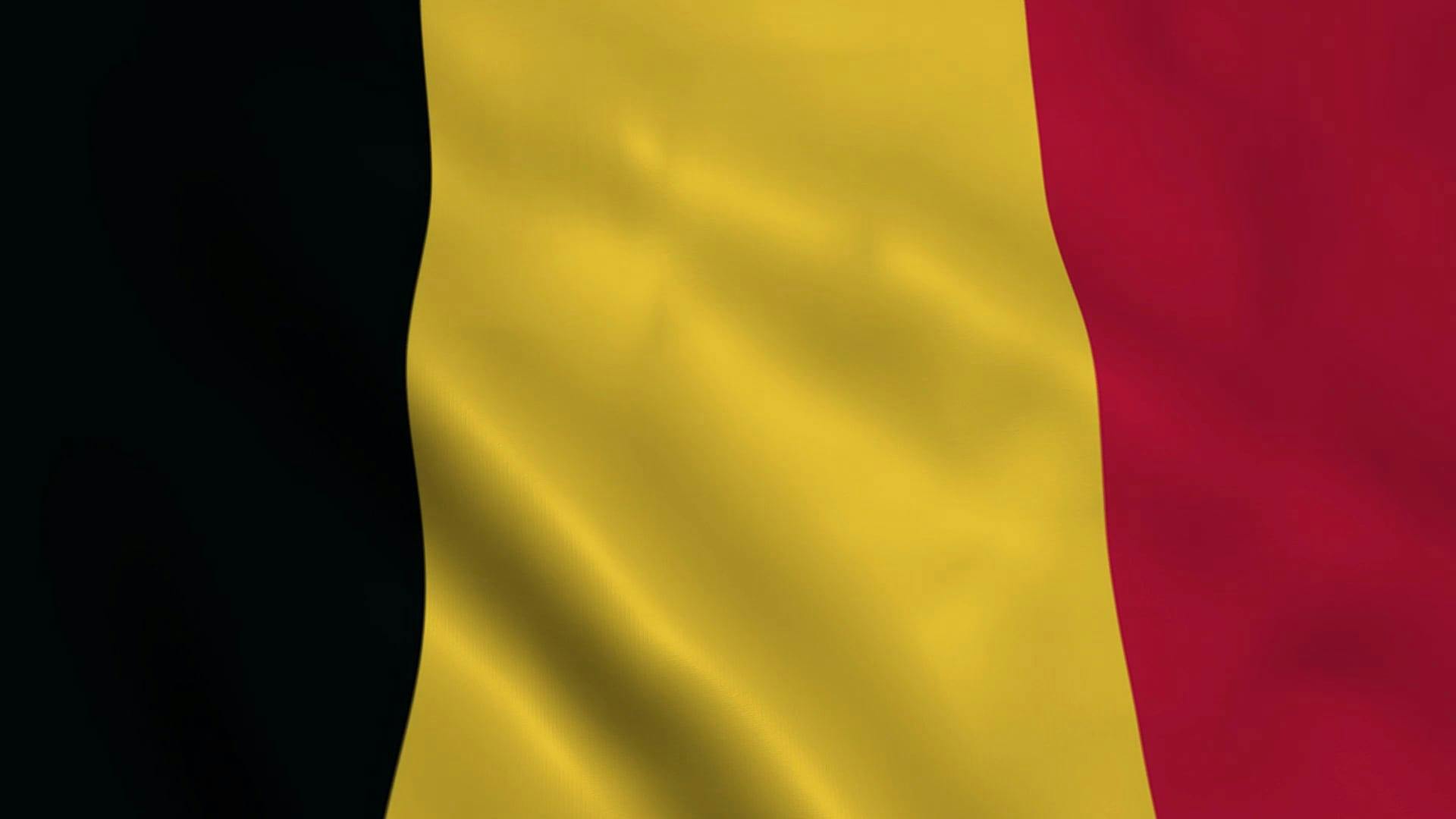 An Animated Flag Free Stock Video Footage, Royalty-Free 4K & HD Video Clip