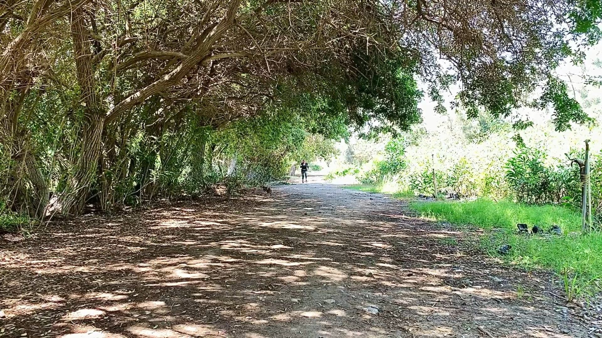 Vídeos de stock gratuitos sobre actividad física, activo, al aire libre ...