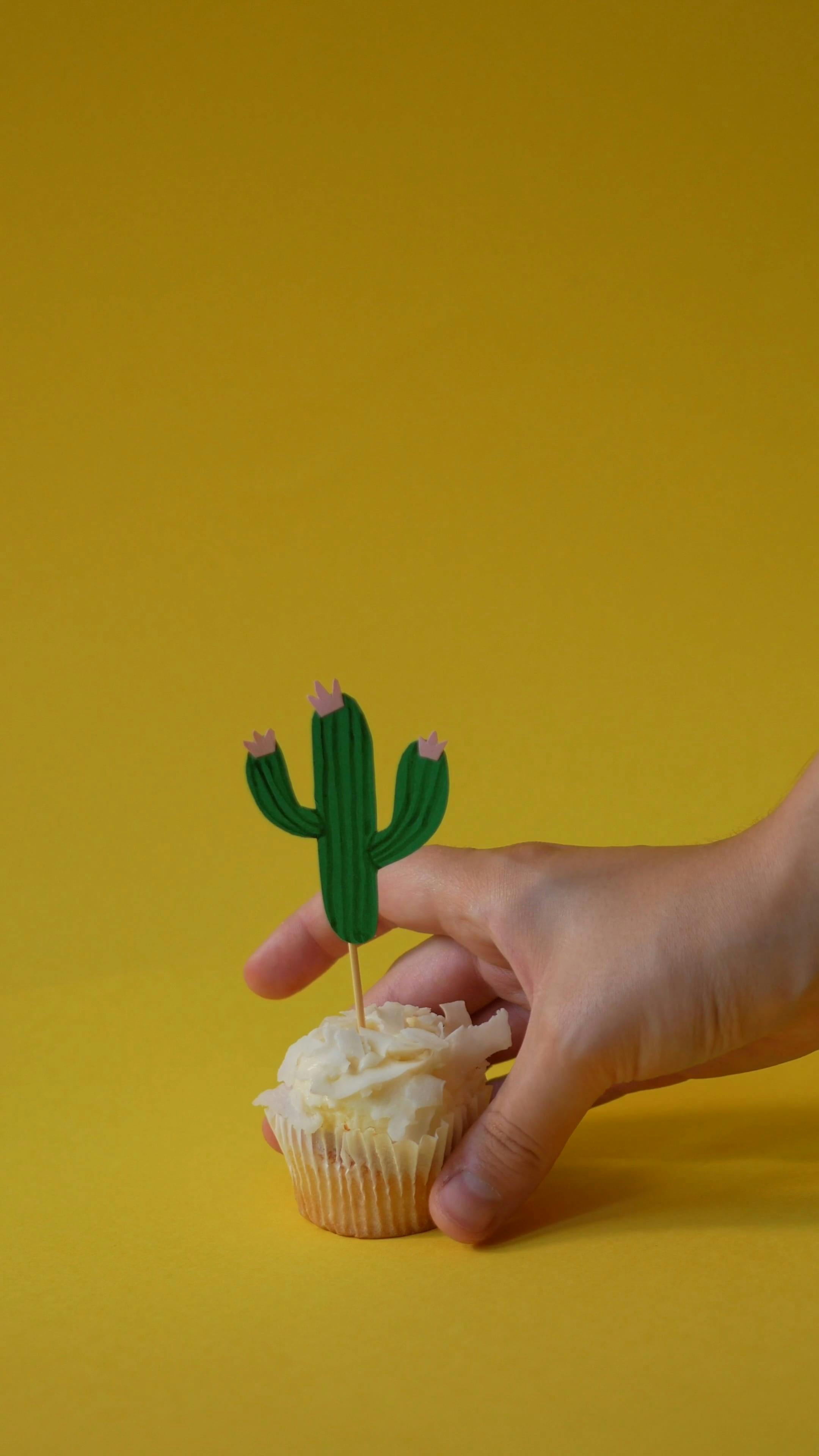 Fiesta Birthday Videos, Download The BEST Free 4k Stock Video Footage ...