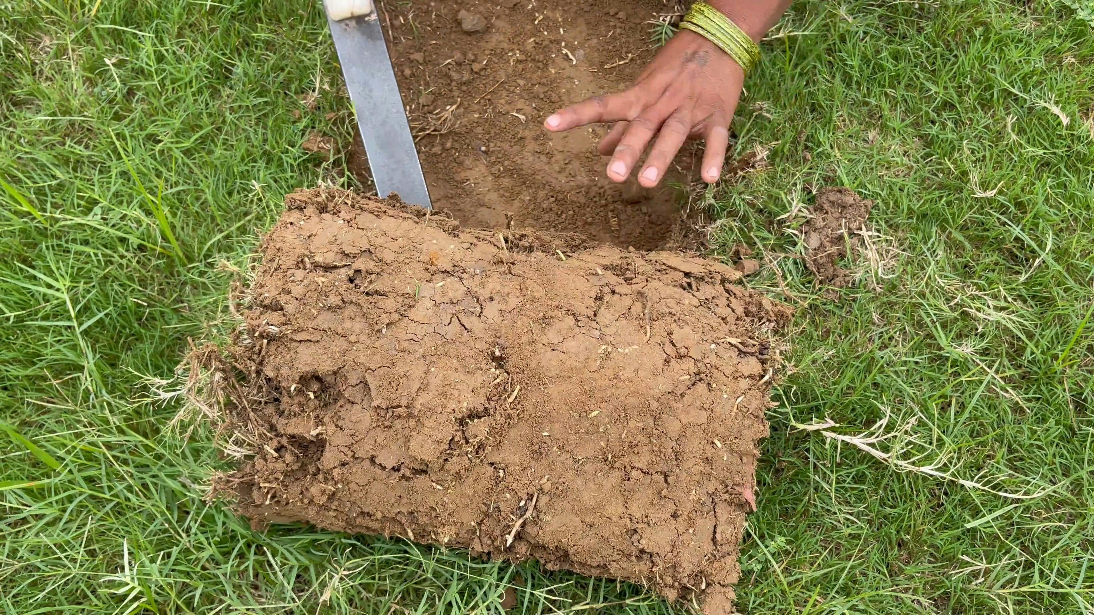 Turf Grass Management Videos, Download The BEST Free 4k Stock Video ...