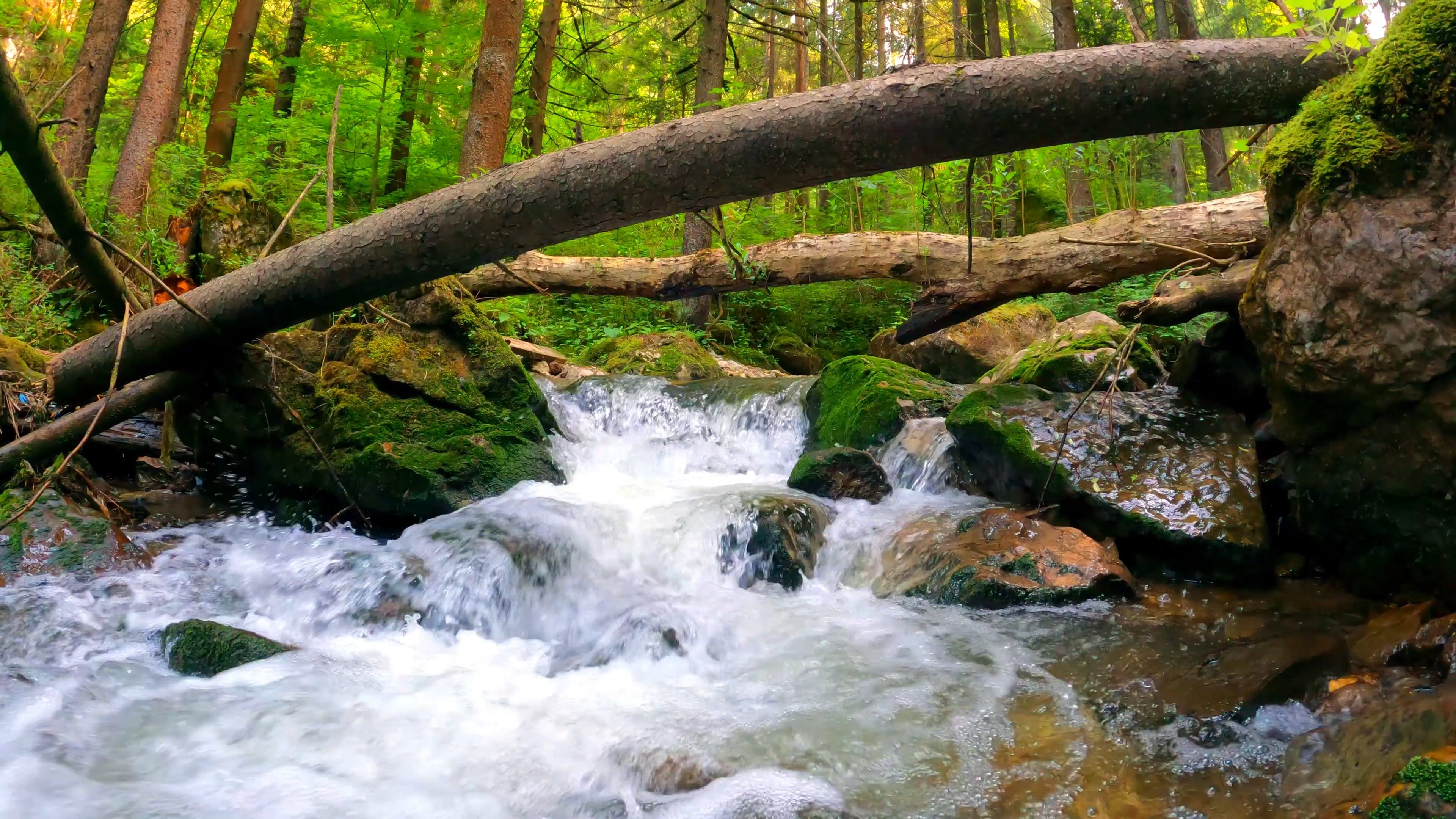 Flowing Water In a Stream Free Stock Video Footage, Royalty-Free 4K ...