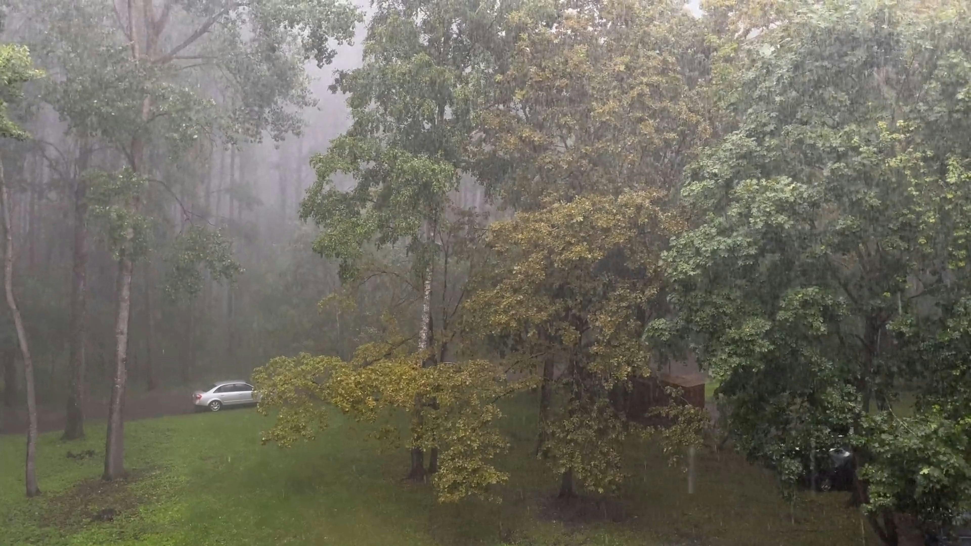 Rain Through a Window · Free Stock Video