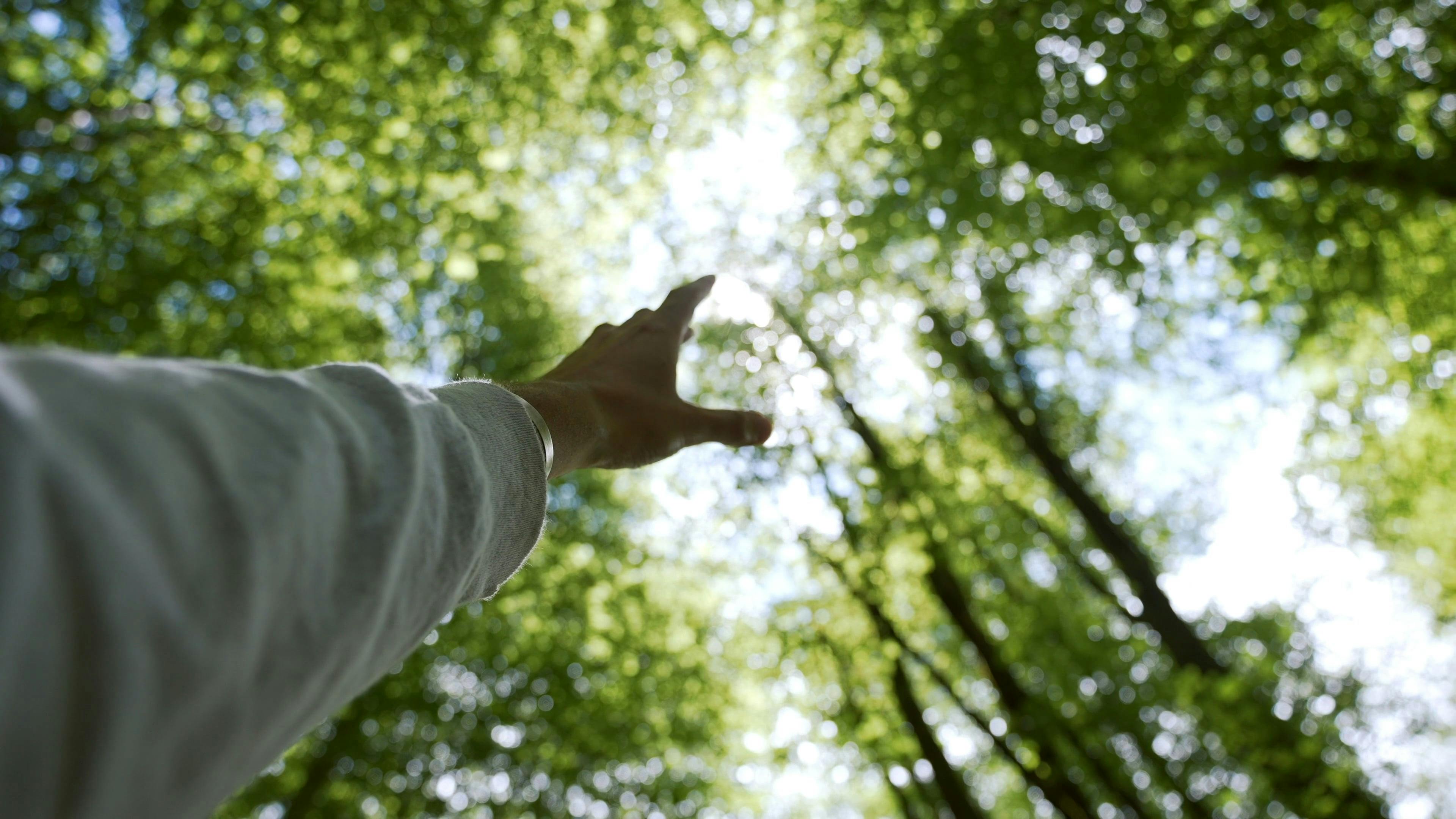 Hand Reaching Out Videos, Download The BEST Free 4k Stock Video Footage ...