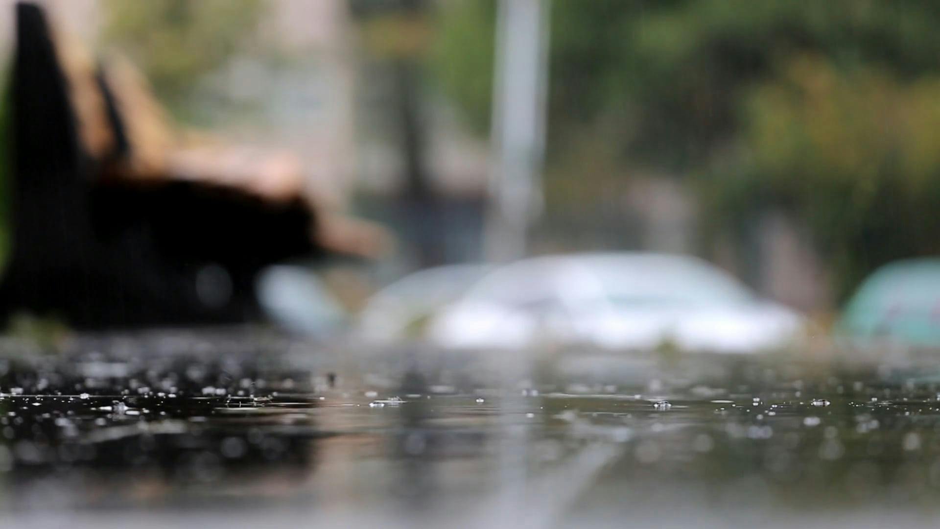 Raindrops Falling On A Watery Surface Free Stock Video Footage, Royalty ...