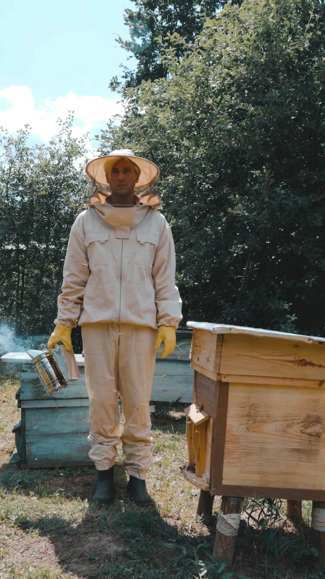 Beekeeper Showing Hive Frame From Apiary · Free Stock Video