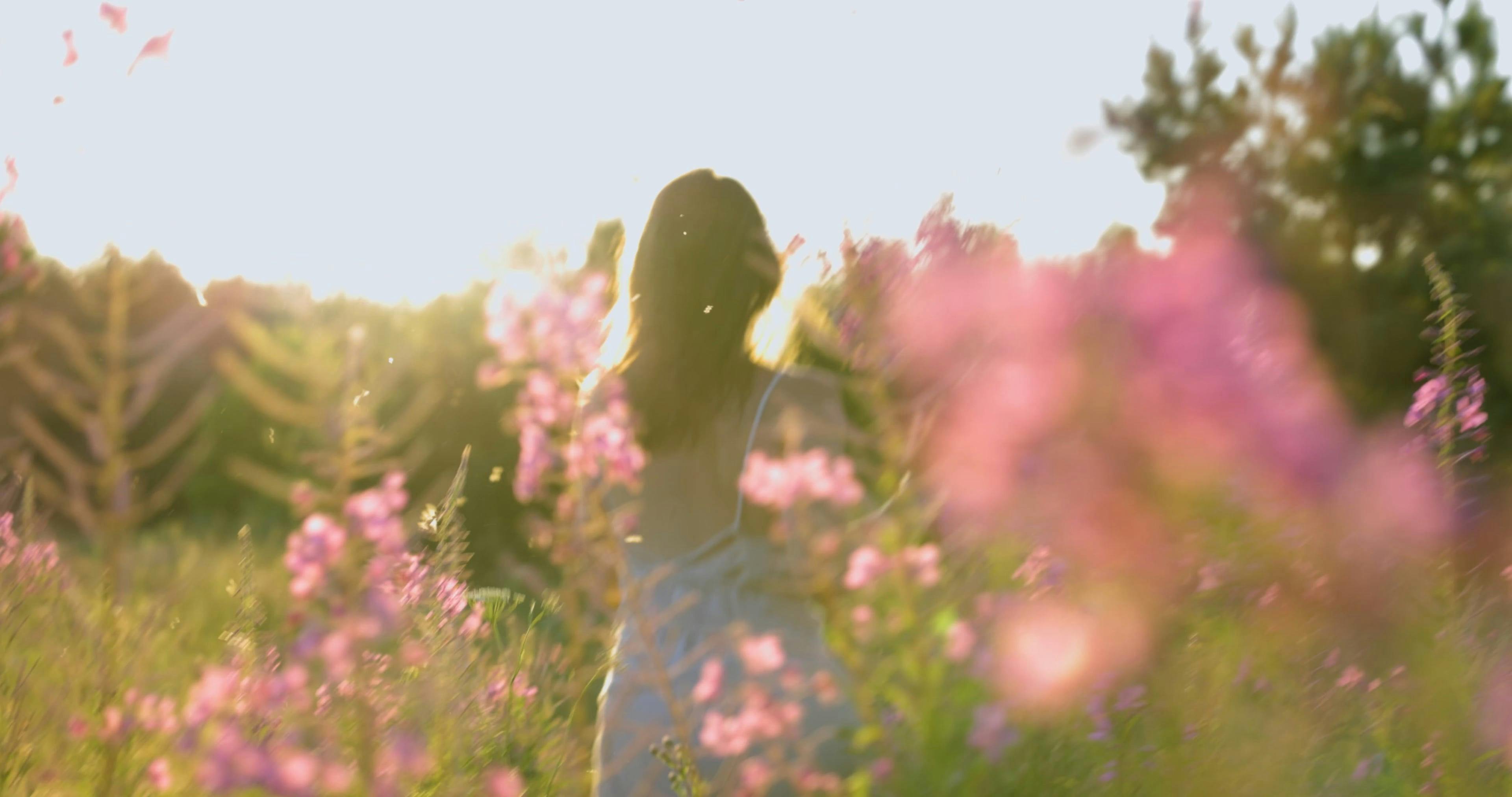 A Woman Running on a Field of Flowers · Free Stock Video