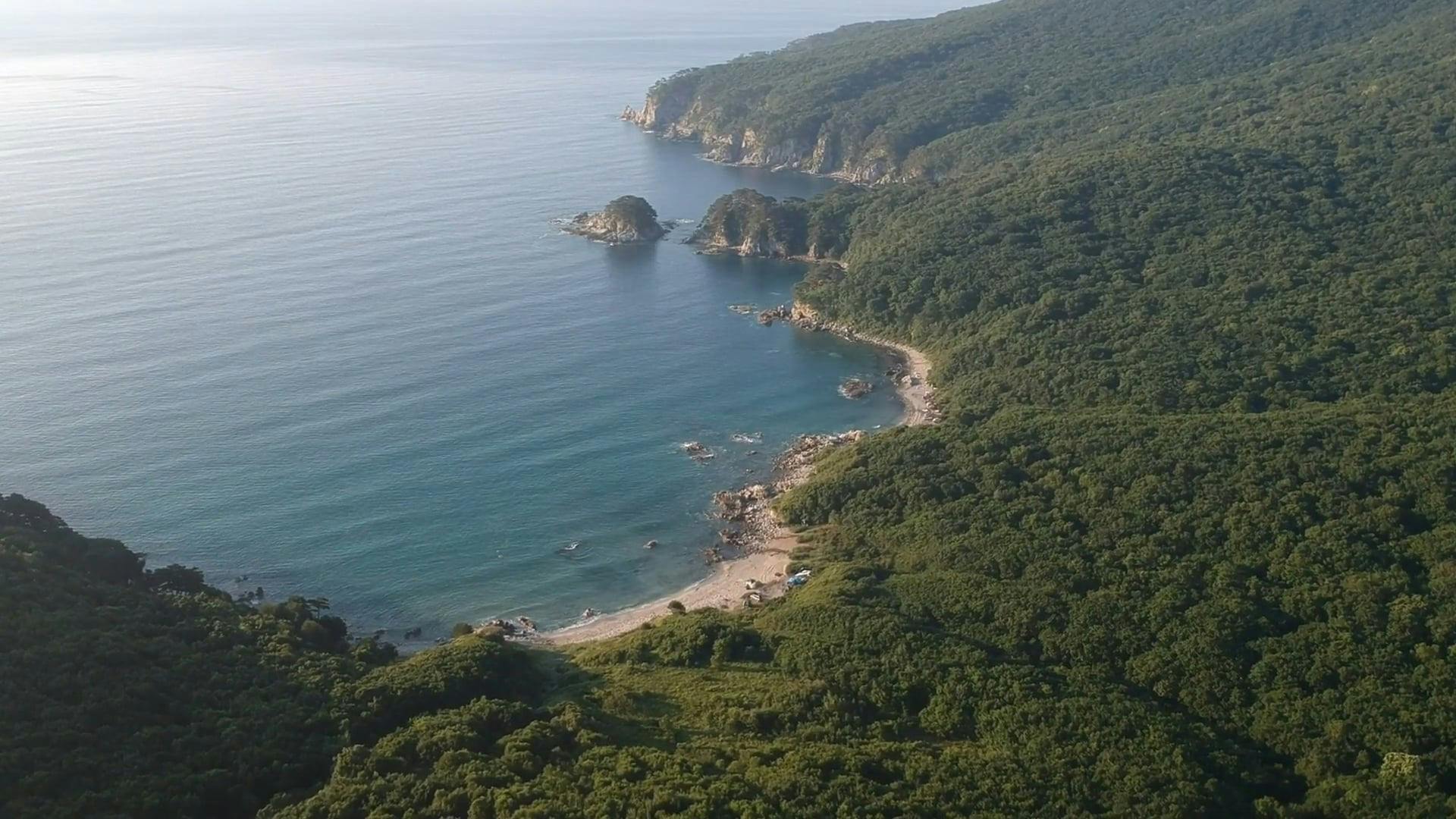 Aerial Footage of a Coast · Free Stock Video