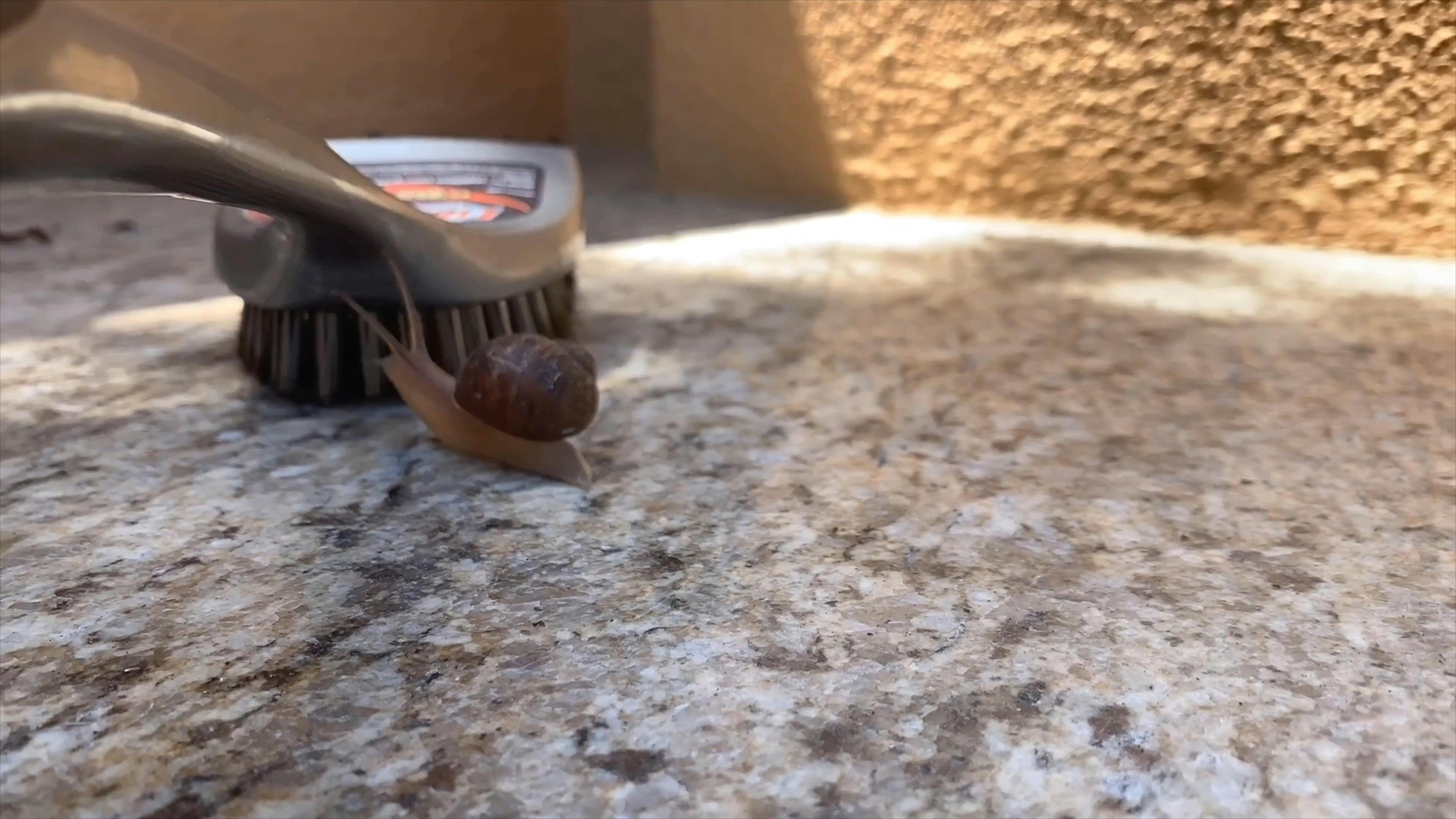 Hyper Focus Videos, Download The BEST Free 4k Stock Video Footage ...