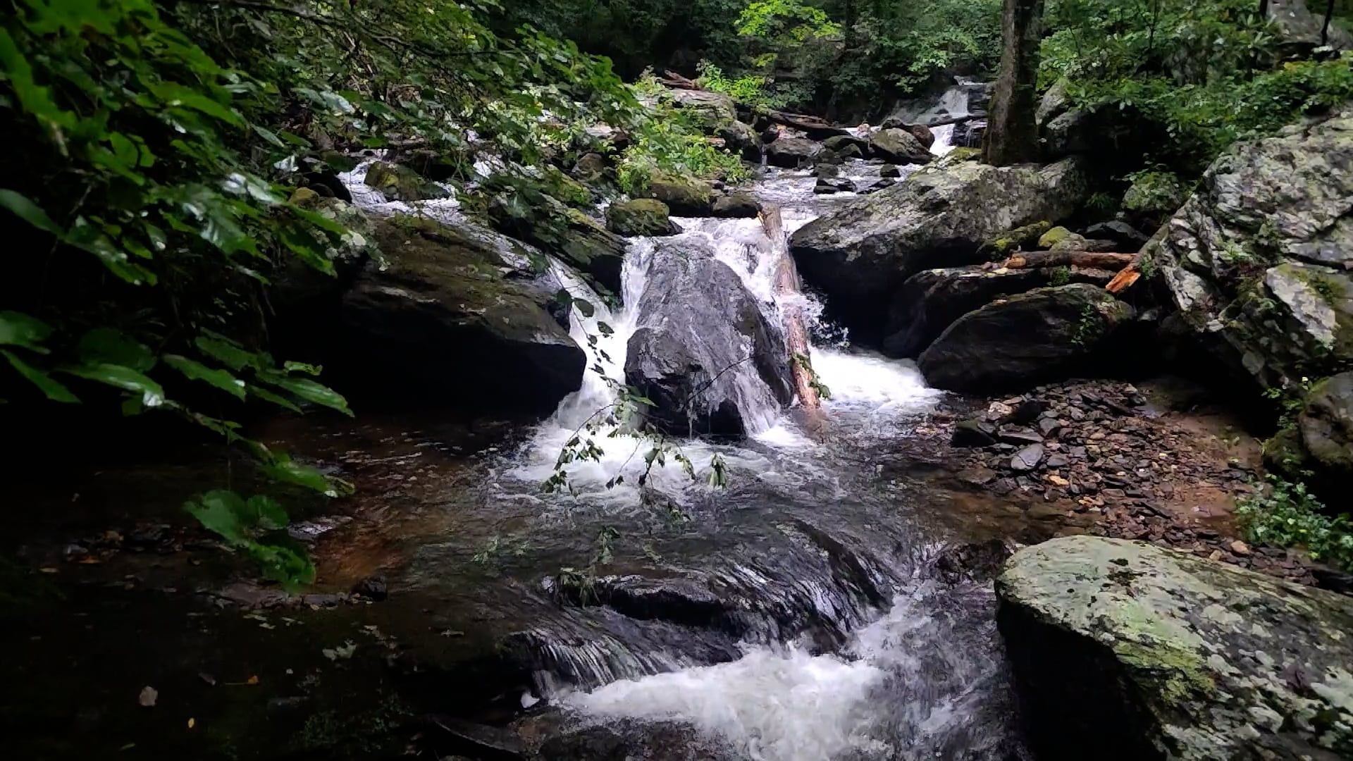 Slow Motion Video of Water Flowing in the River Free Stock Video ...