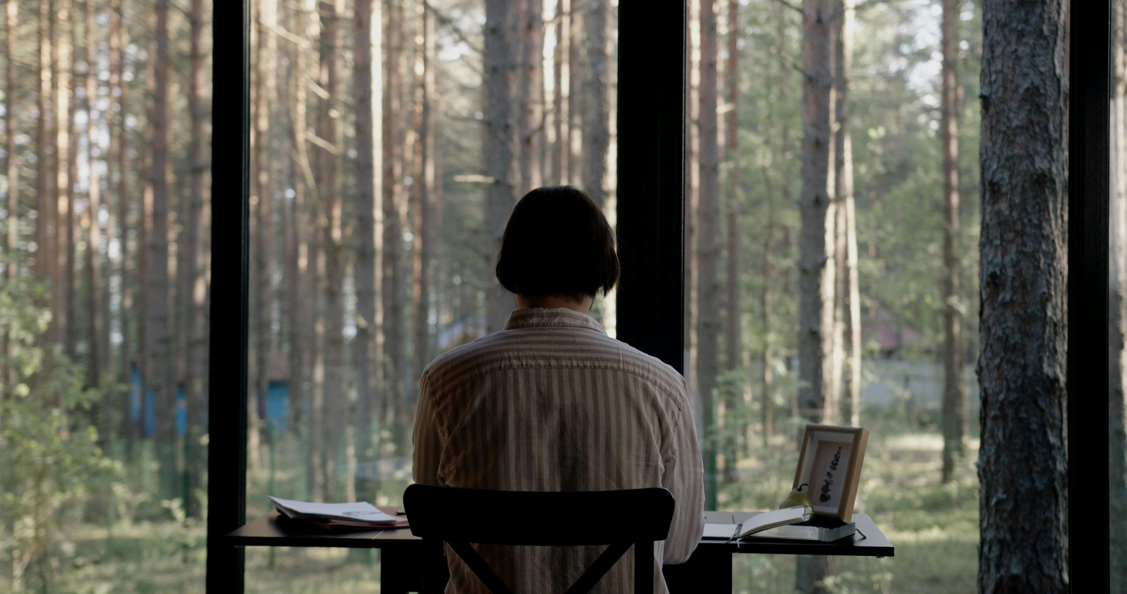 Person Sitting in Chair Shot from Behind Free Stock Video Footage ...