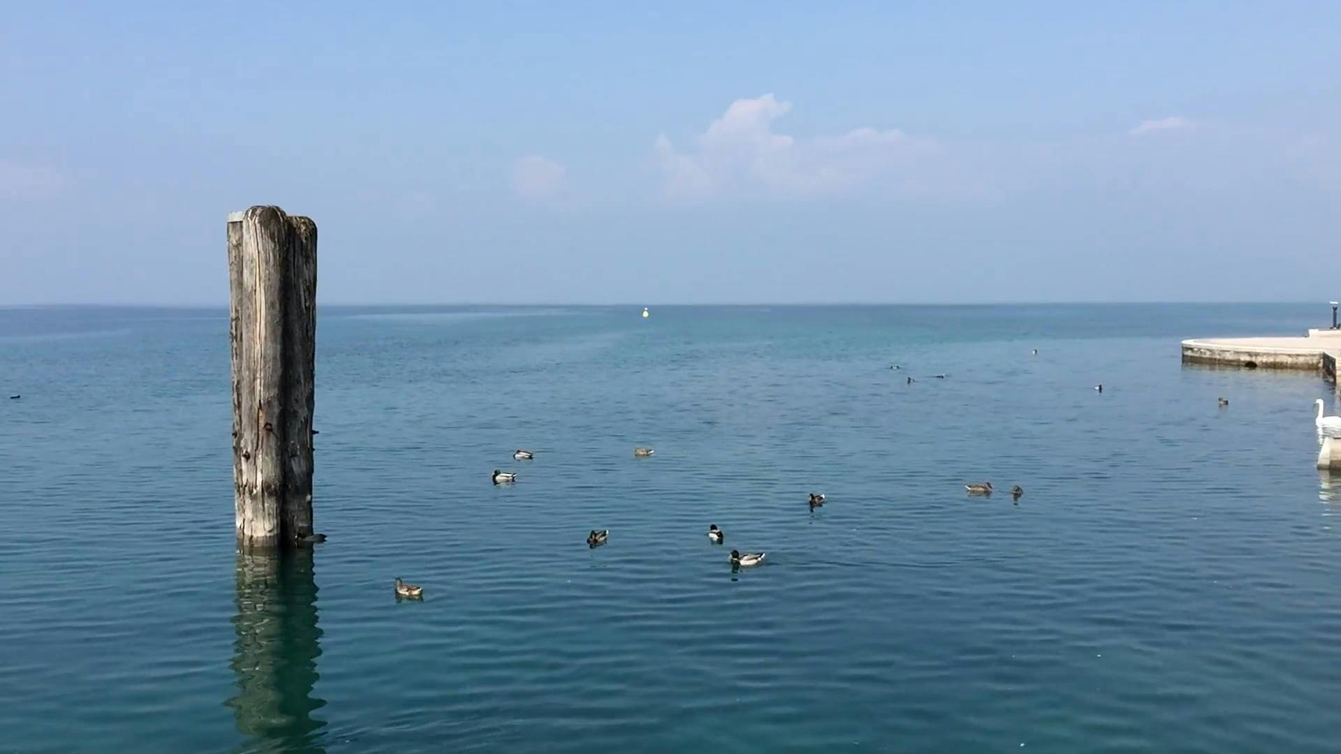 Free Non Copyrighted Anime Videos, Download The BEST Free 4k Stock ...