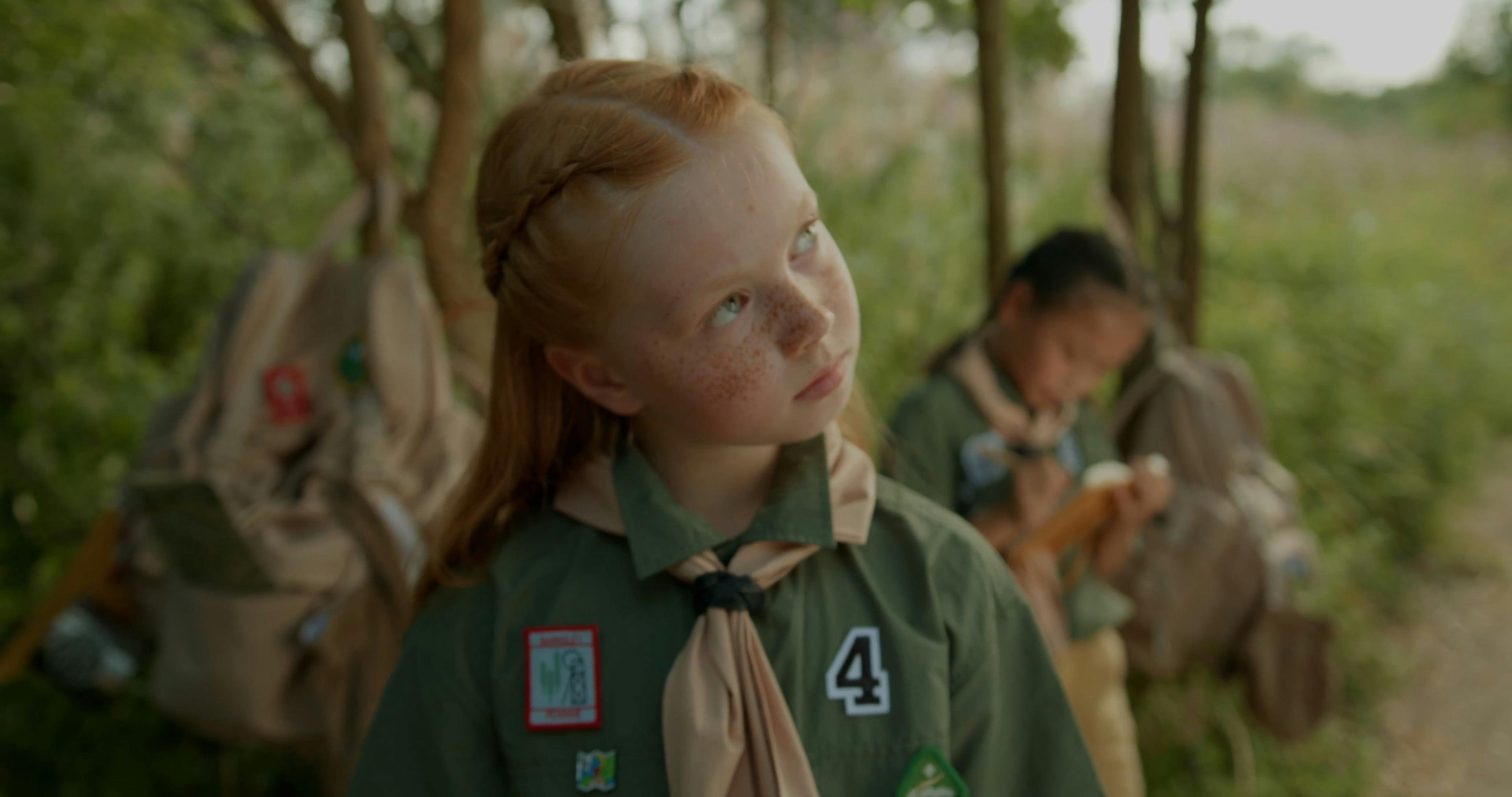 A Girl Scout Looking at a Holly Free Stock Video Footage, Royalty-Free ...