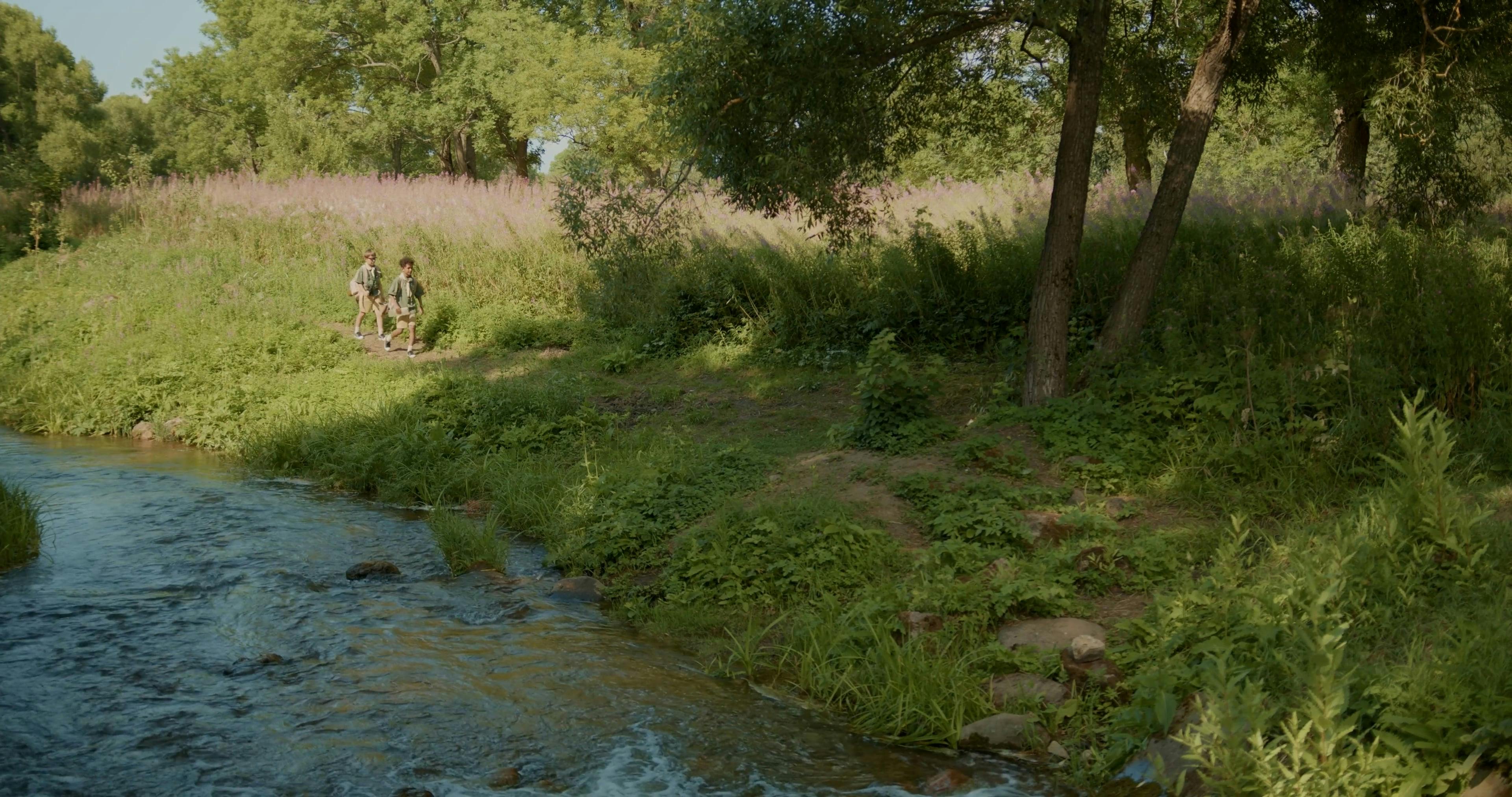 Boy Scouts Hiking in the Wilderness Free Stock Video Footage, Royalty ...