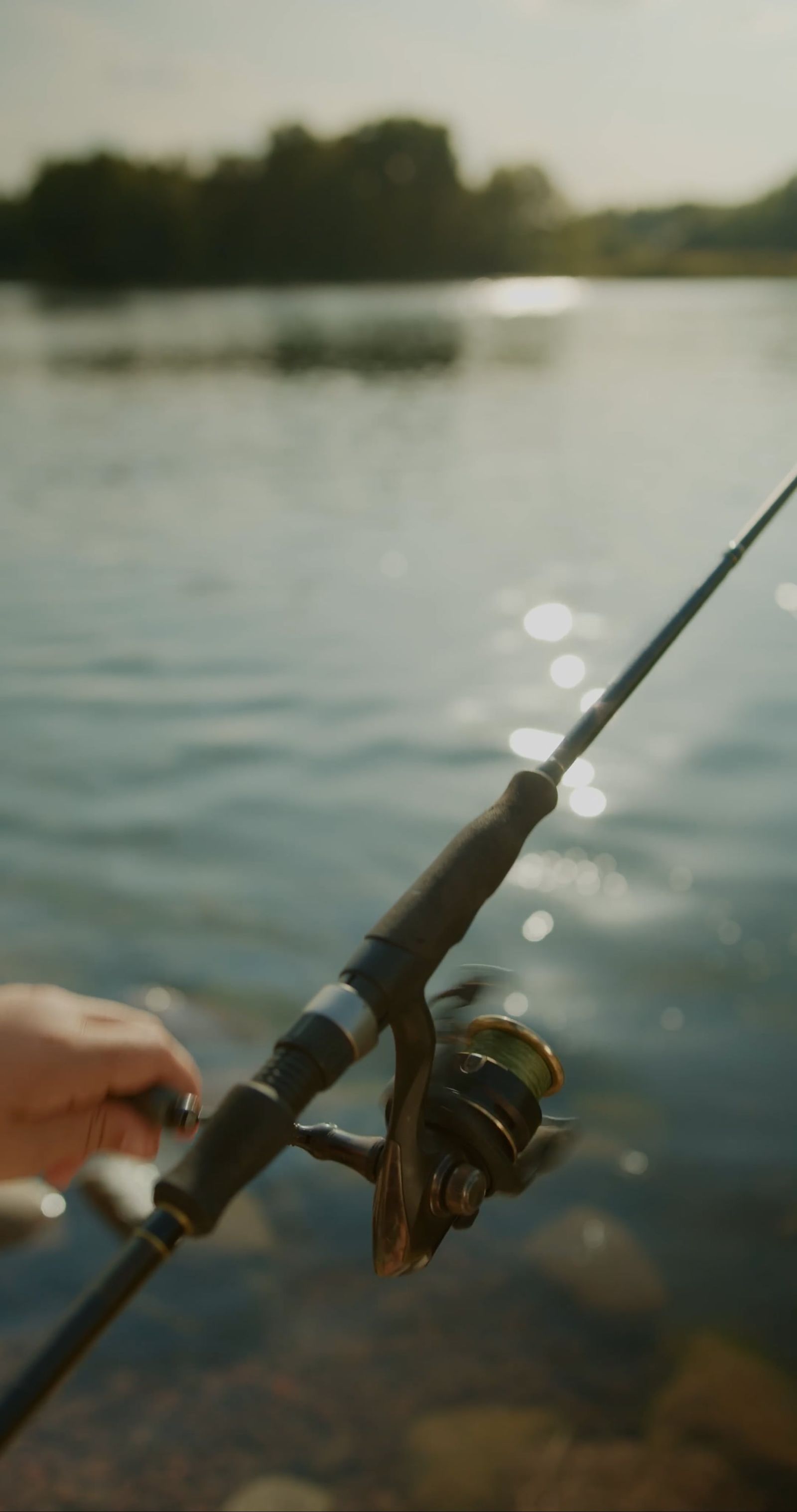 Reel Videos, Download The BEST Free 4k Stock Video Footage & Reel HD ...