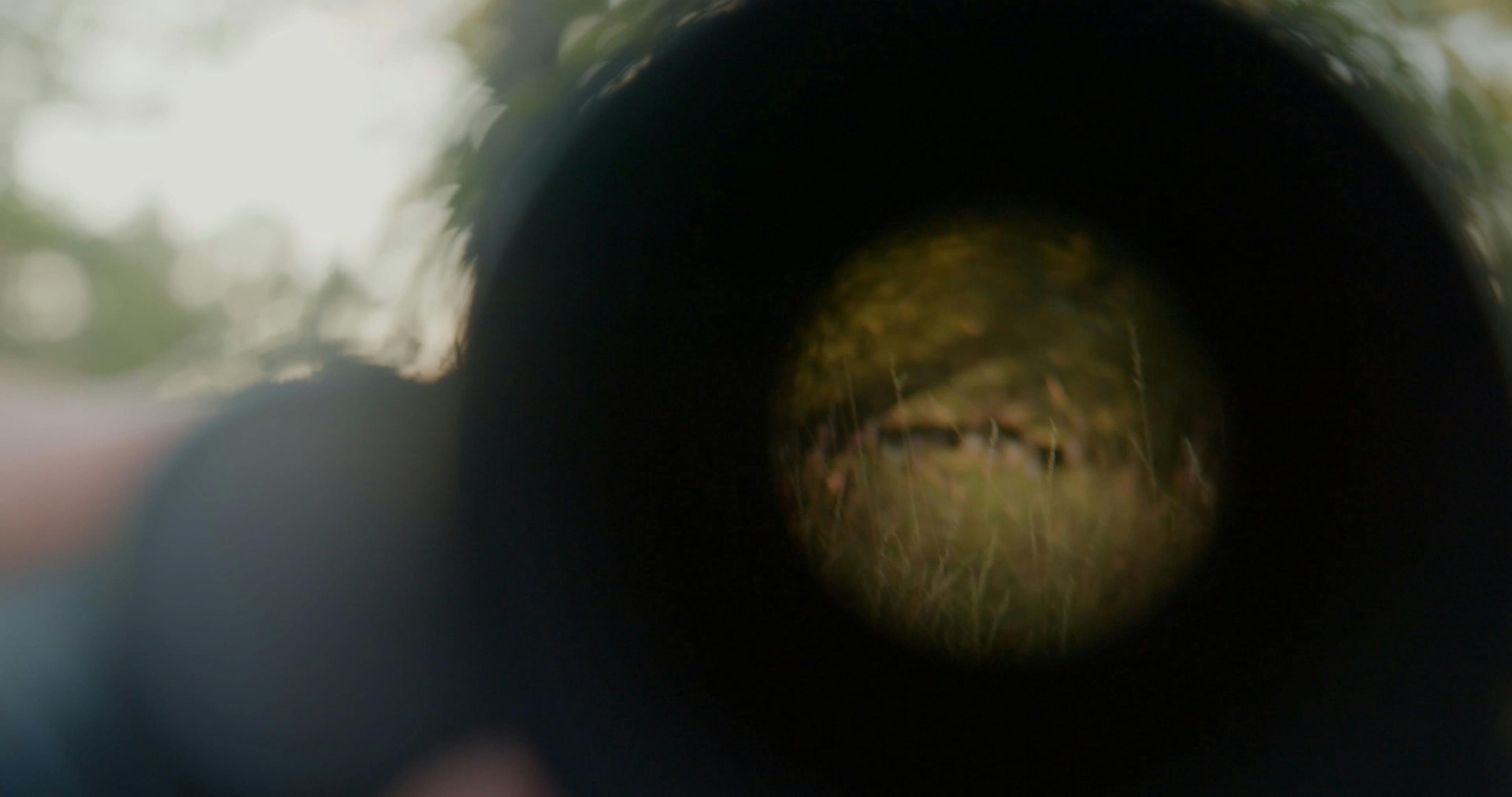 Grass Zoom In Videos, Download The BEST Free 4k Stock Video Footage ...