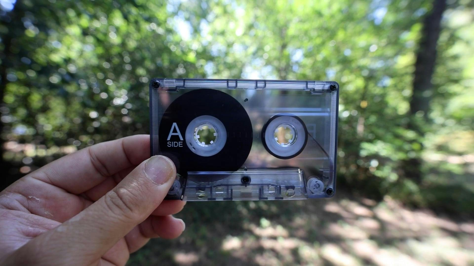 Nature 1990s Videos, Download The BEST Free 4k Stock Video Footage ...