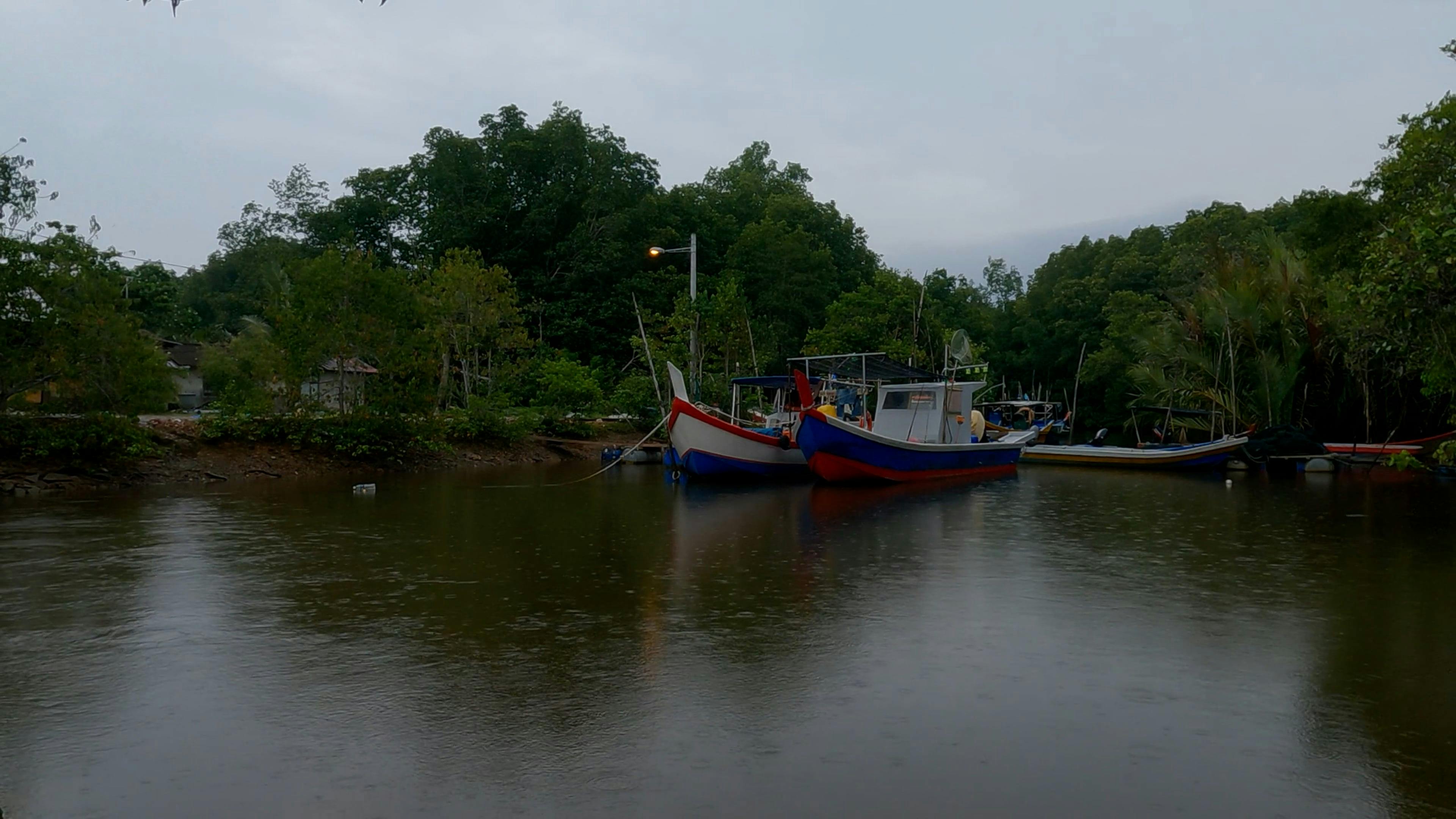 Jungle Side Videos, Download The BEST Free 4k Stock Video Footage ...