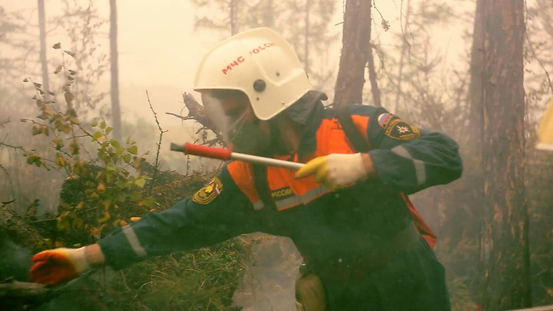 Firefighters Controlling Fire in the Forest Free Stock Video Footage ...