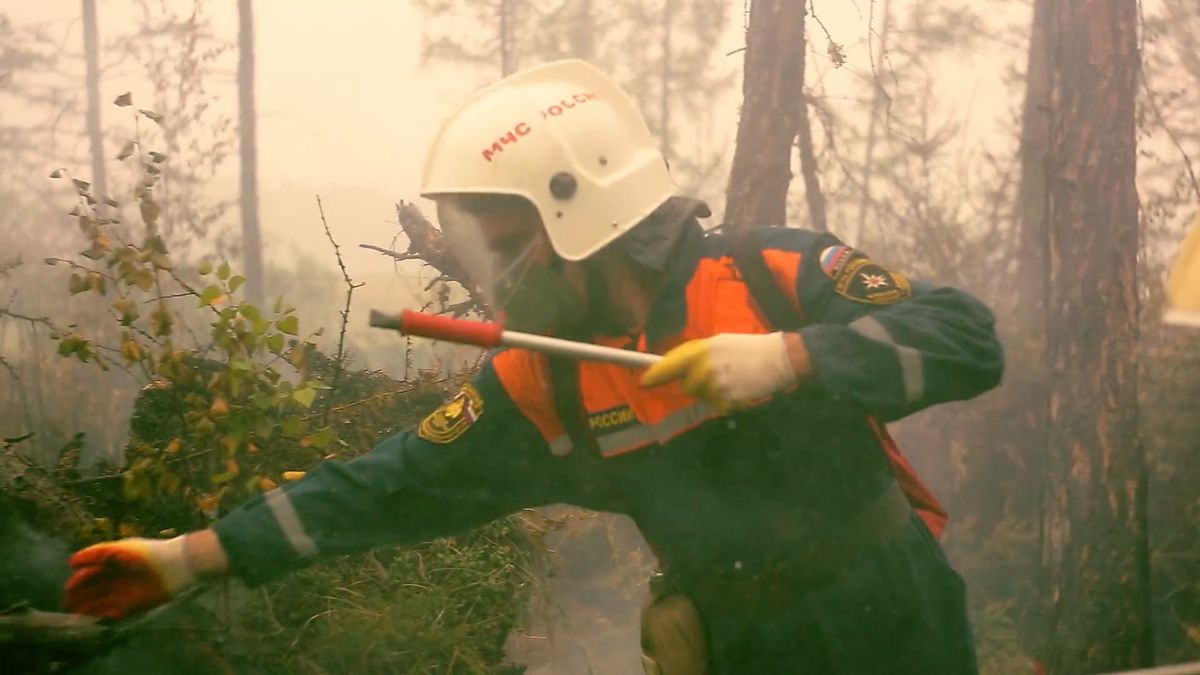 Firefighters Videos, Download The BEST Free 4k Stock Video Footage ...