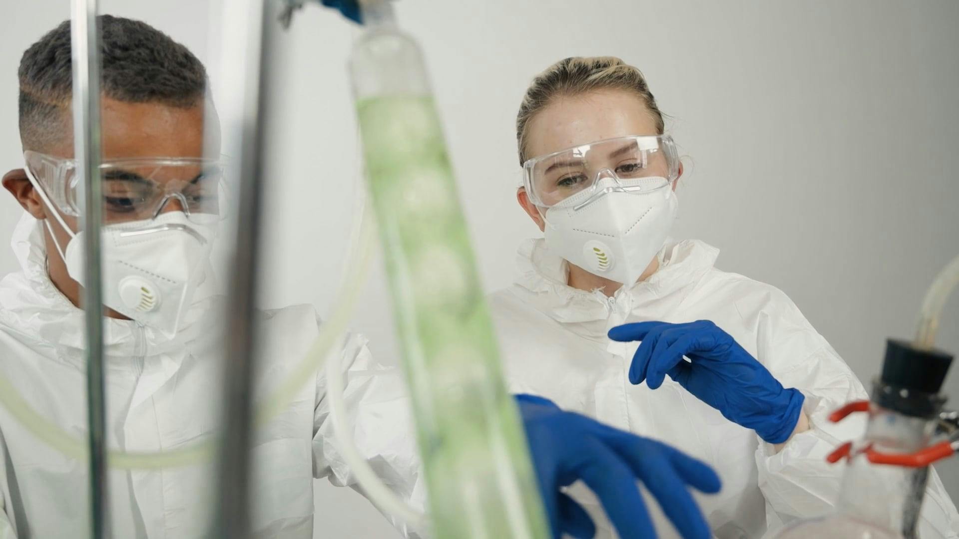 Man and Woman doing Experiment at the Laboratory Free Stock Video ...