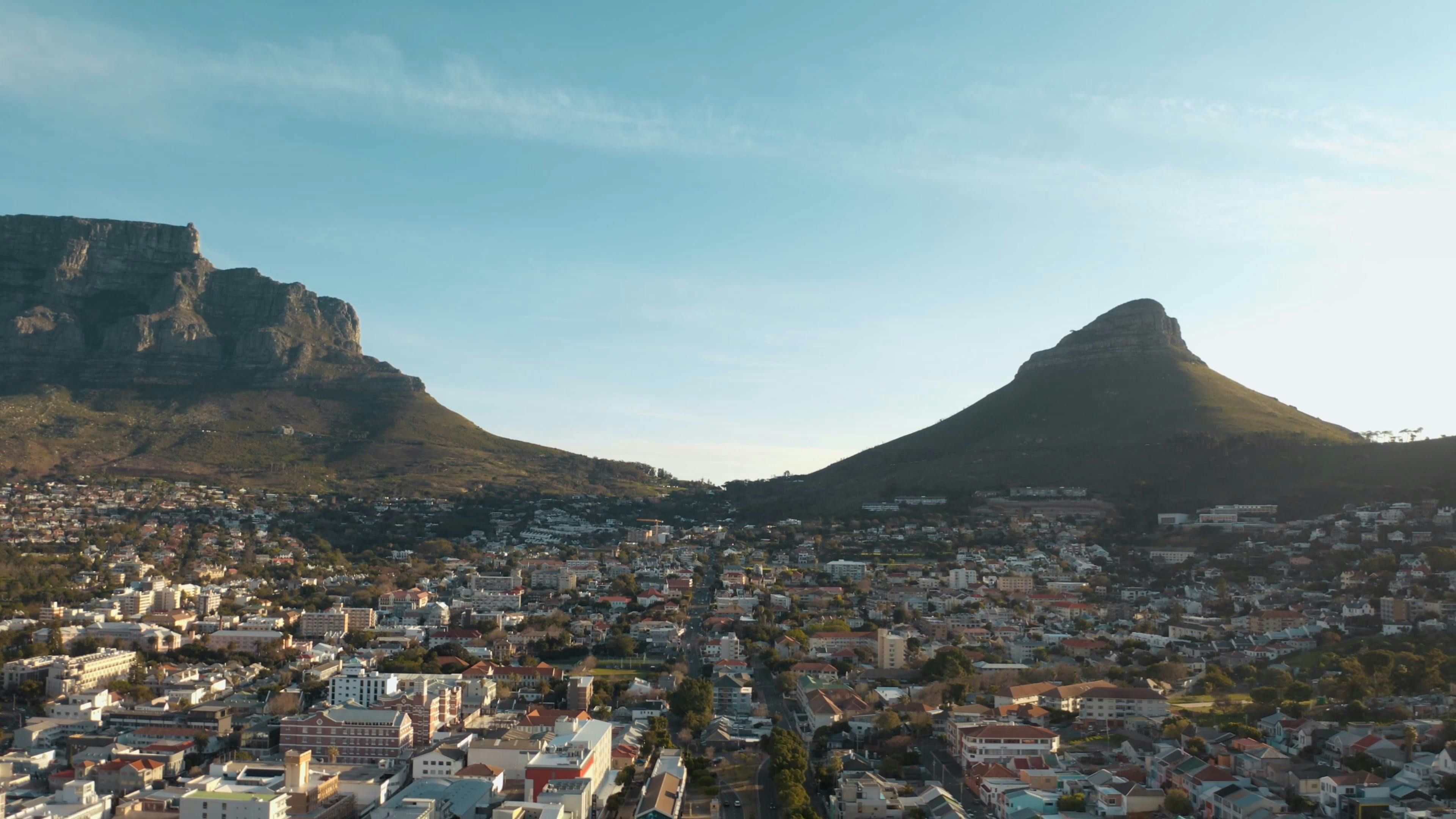 Botanic Backdrop Videos, Download The BEST Free 4k Stock Video Footage ...