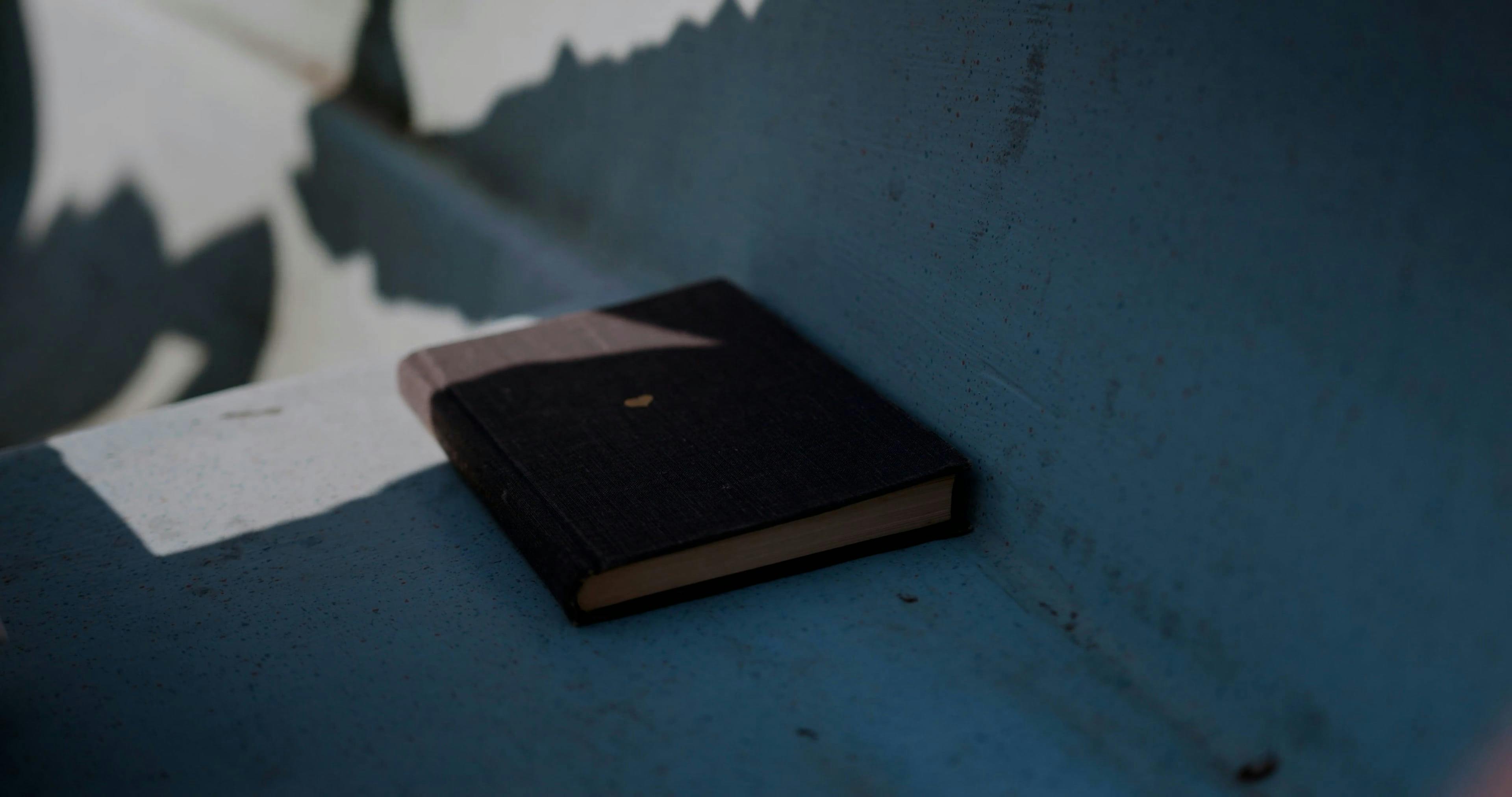 Bench Texture Videos, Download The BEST Free 4k Stock Video Footage ...