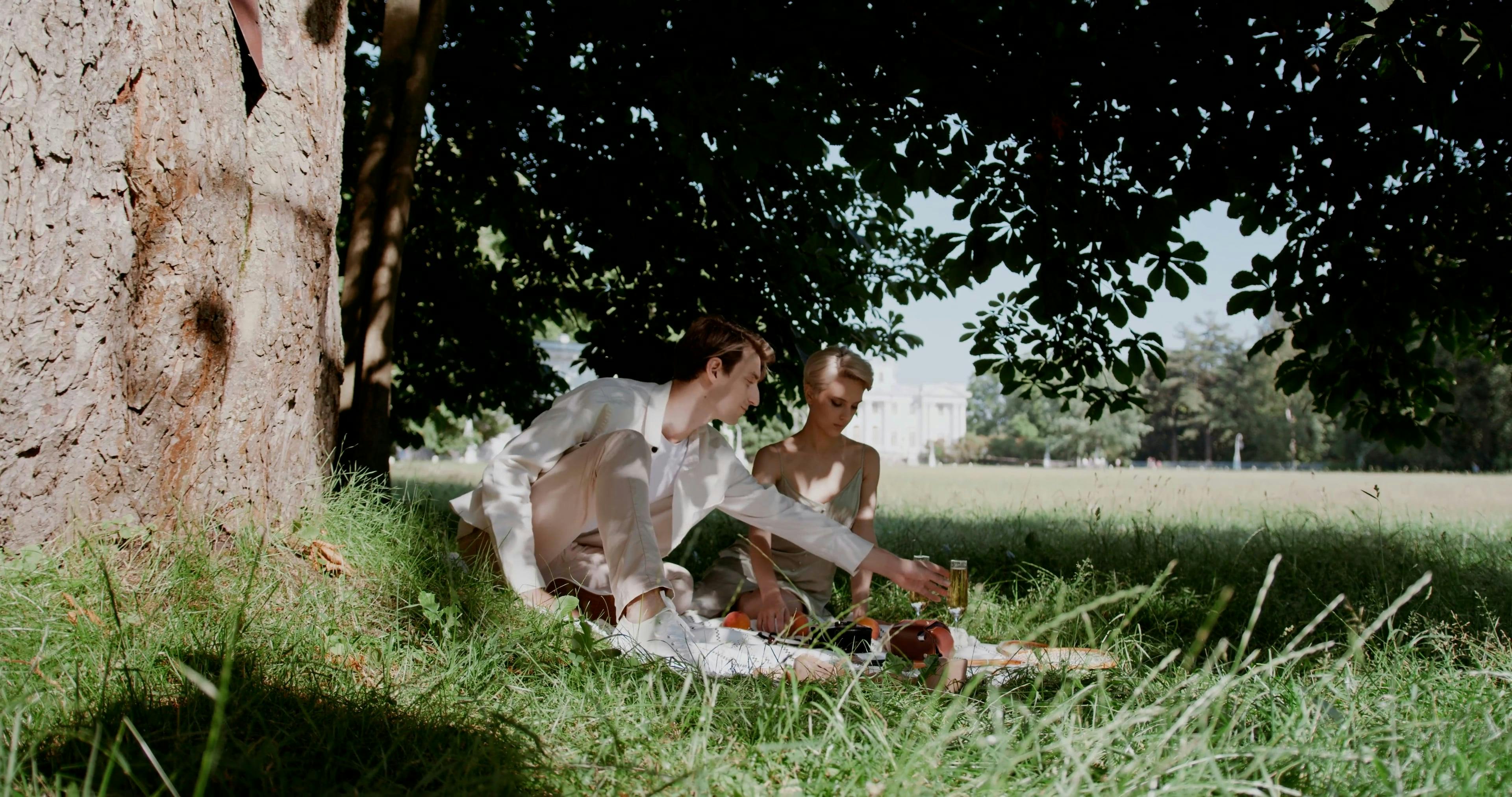 Nature Date Videos, Download The BEST Free 4k Stock Video Footage ...