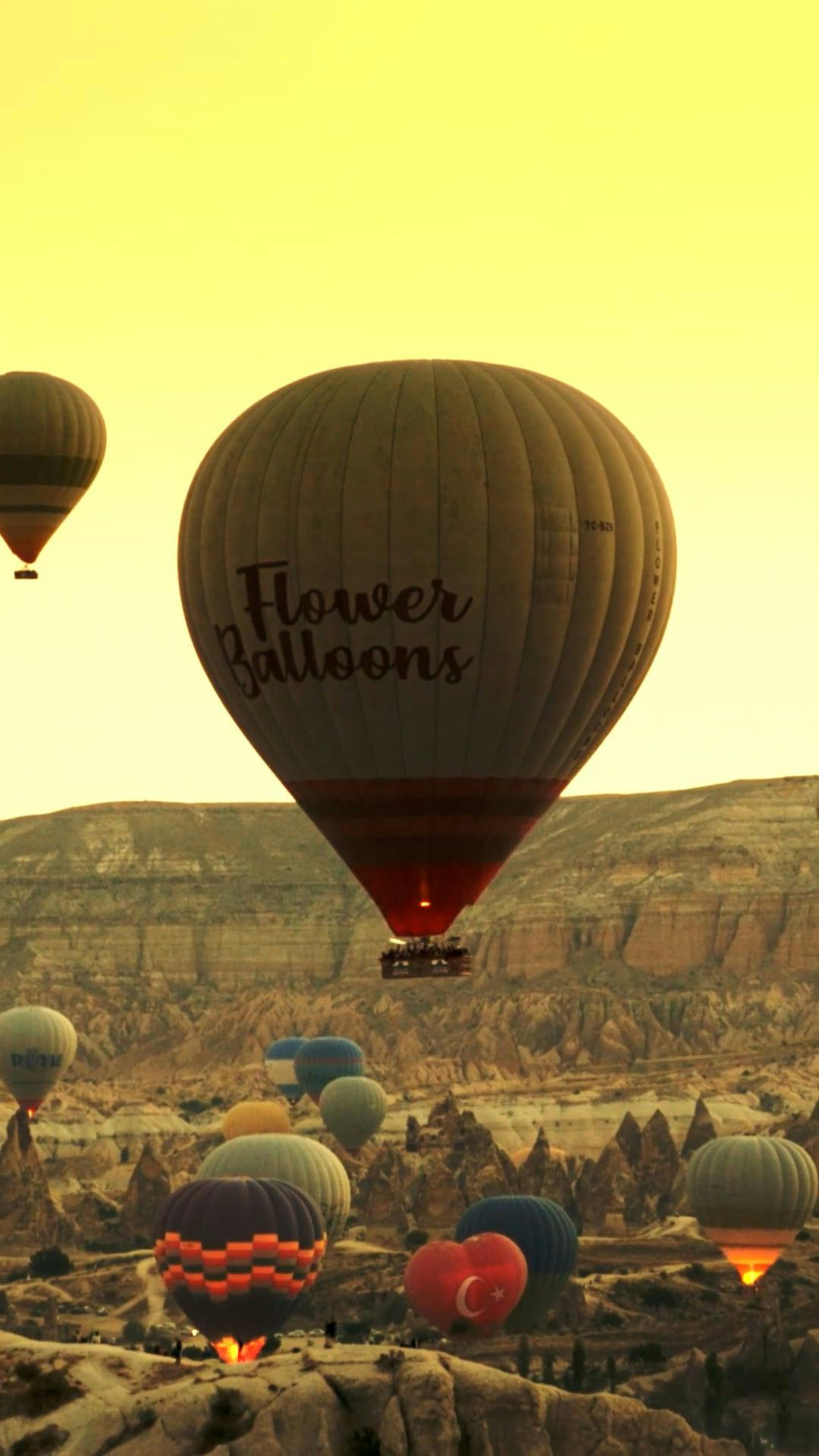 Hot Air Balloon Festival On A Winter Landscape · Free Stock Video