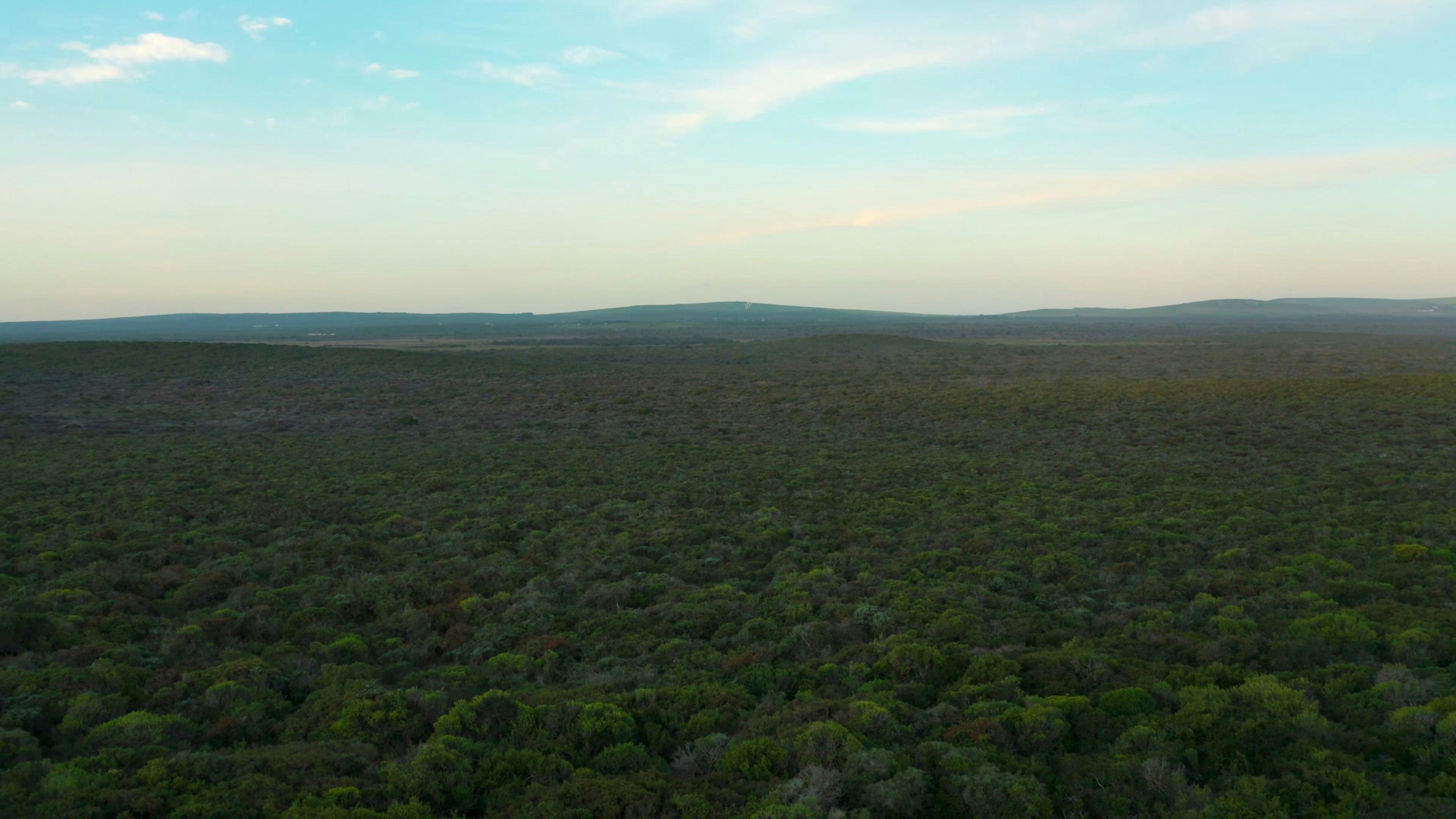 Deforestation Awareness Videos, Download The BEST Free 4k Stock Video ...